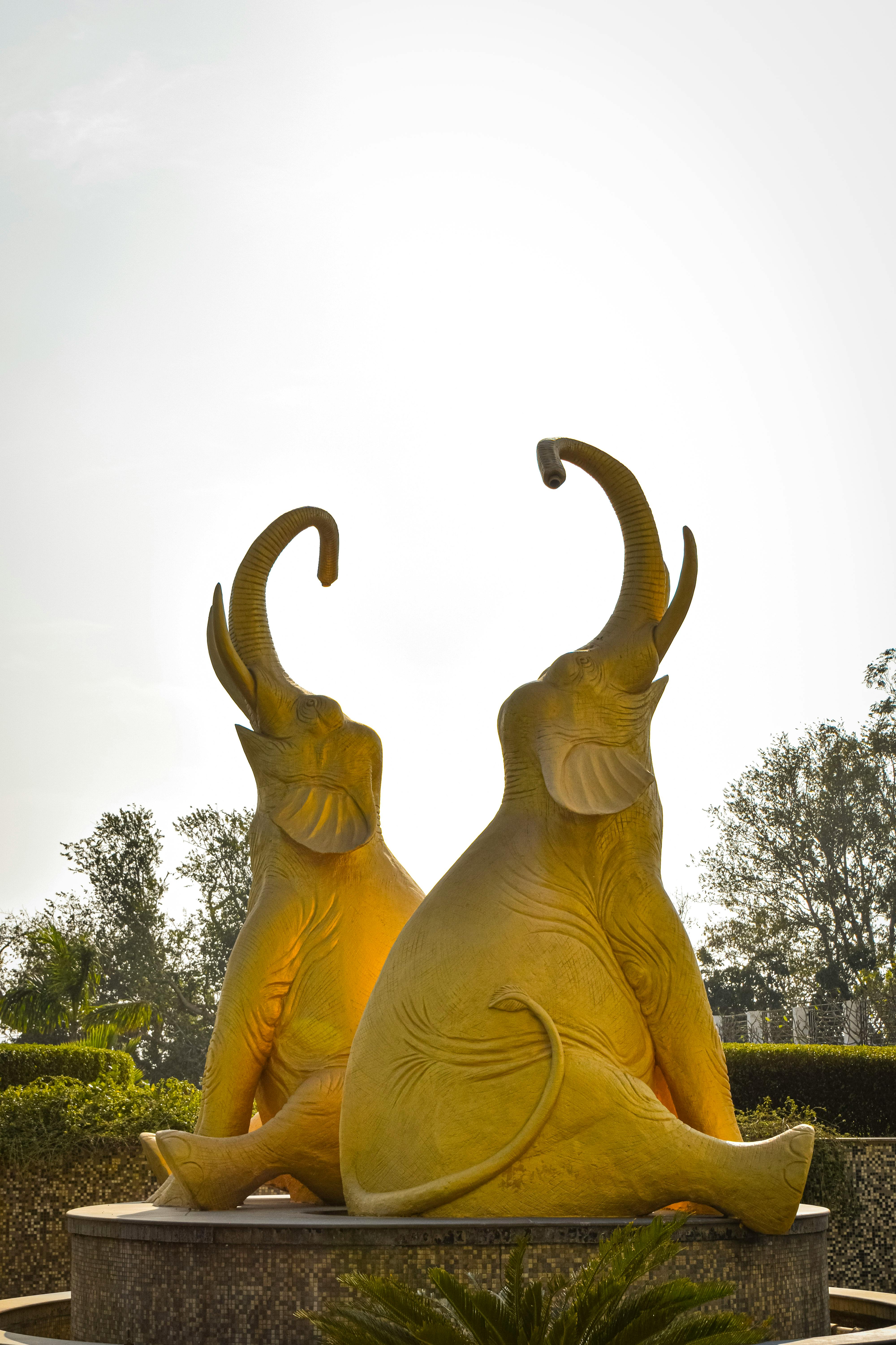 Yellow Elephants Statues Fountain · Free Stock Photo
