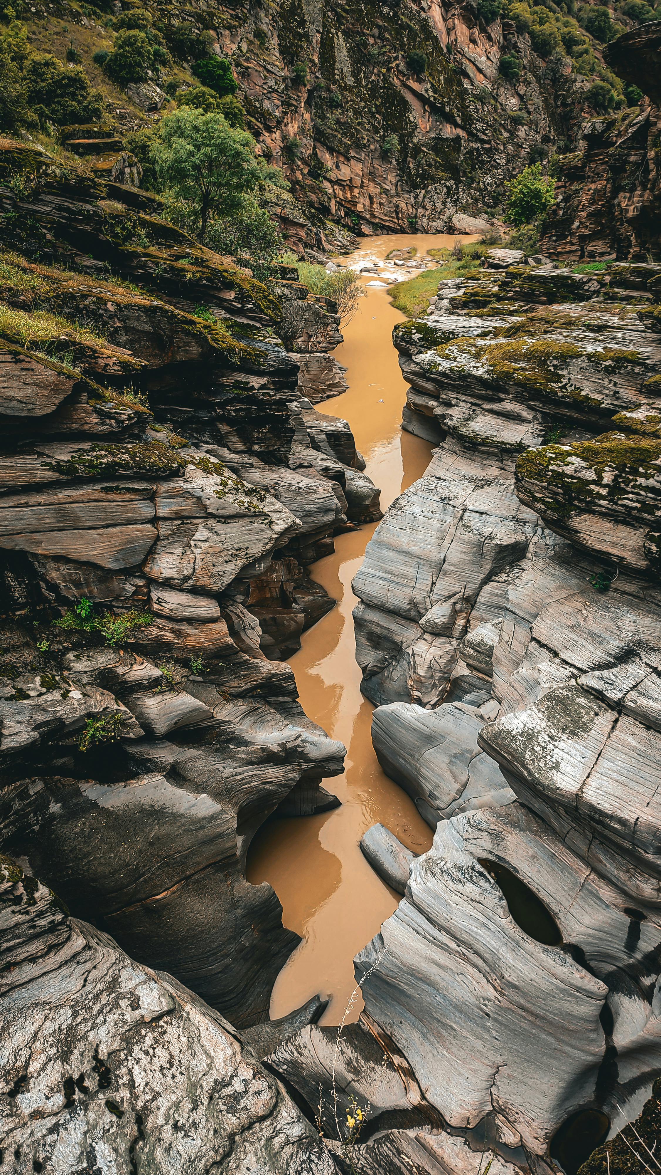 Rocks on Sea Shore on Zipolite Beach in Mexico · Free Stock Photo