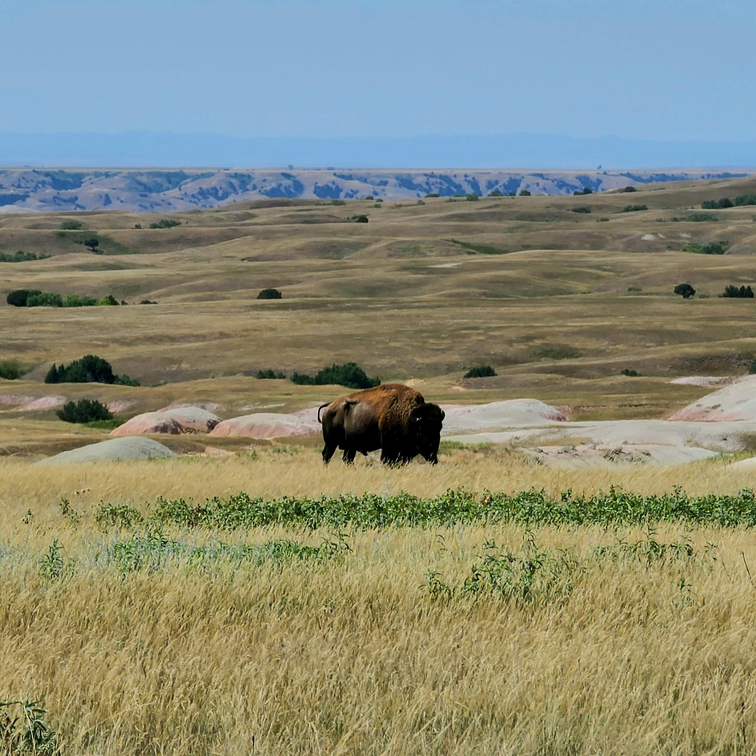 Kelly Thier - 사진