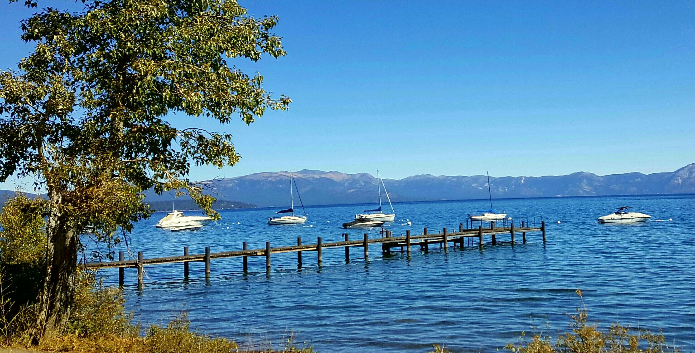 Kelly Thier - 사진