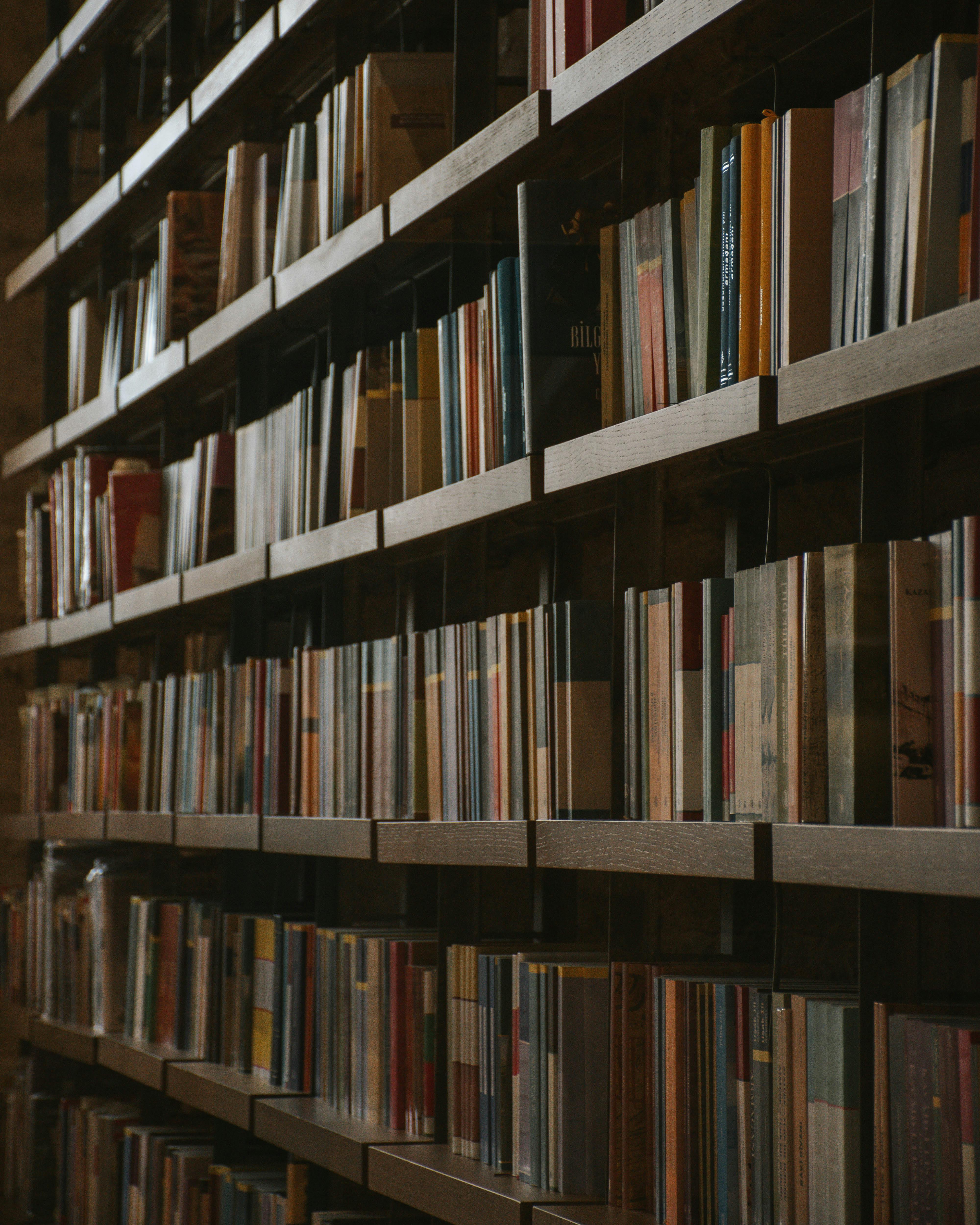 A Bunch of Open Books in Rows · Free Stock Photo