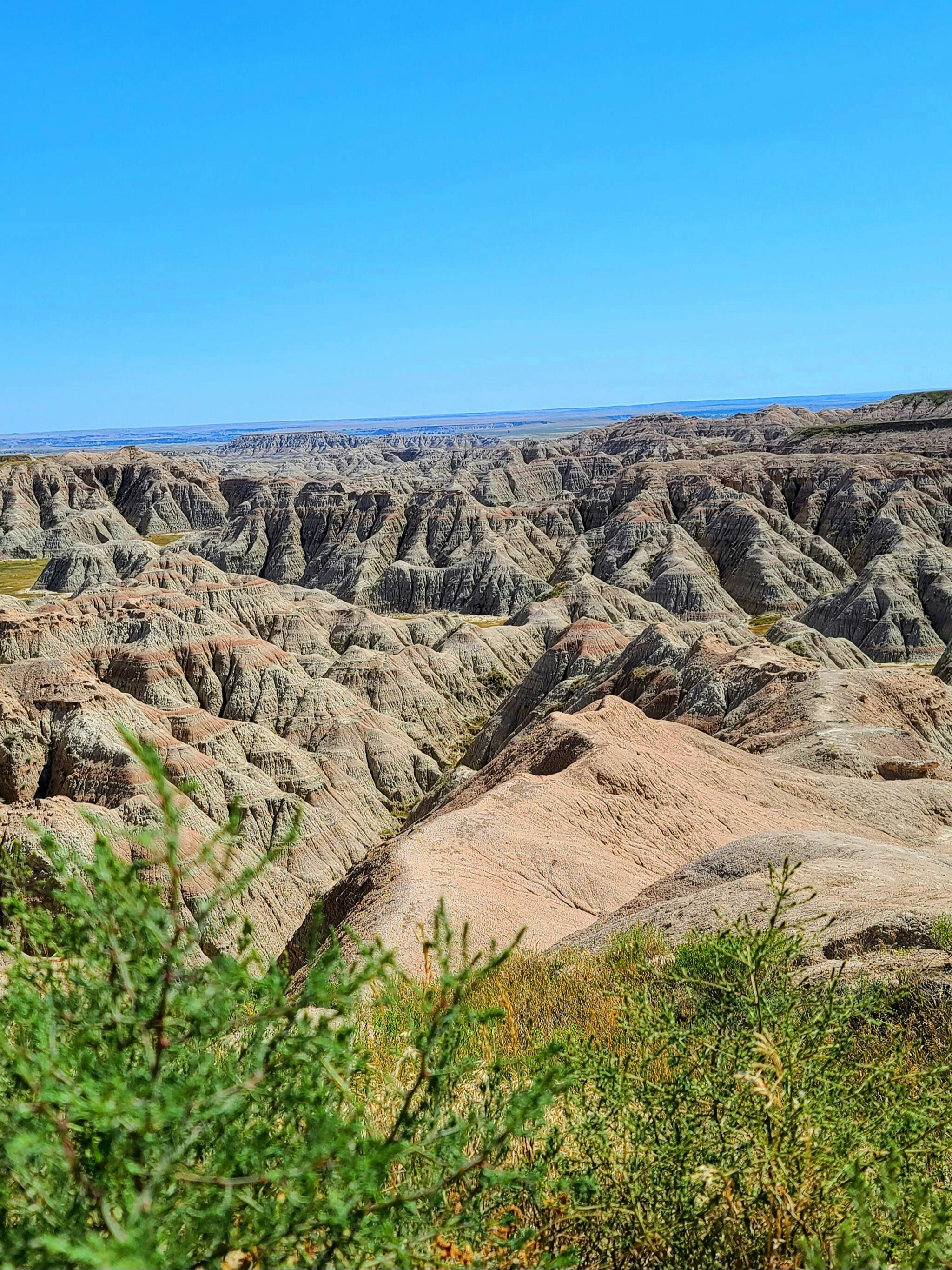 Kelly Thier - 사진