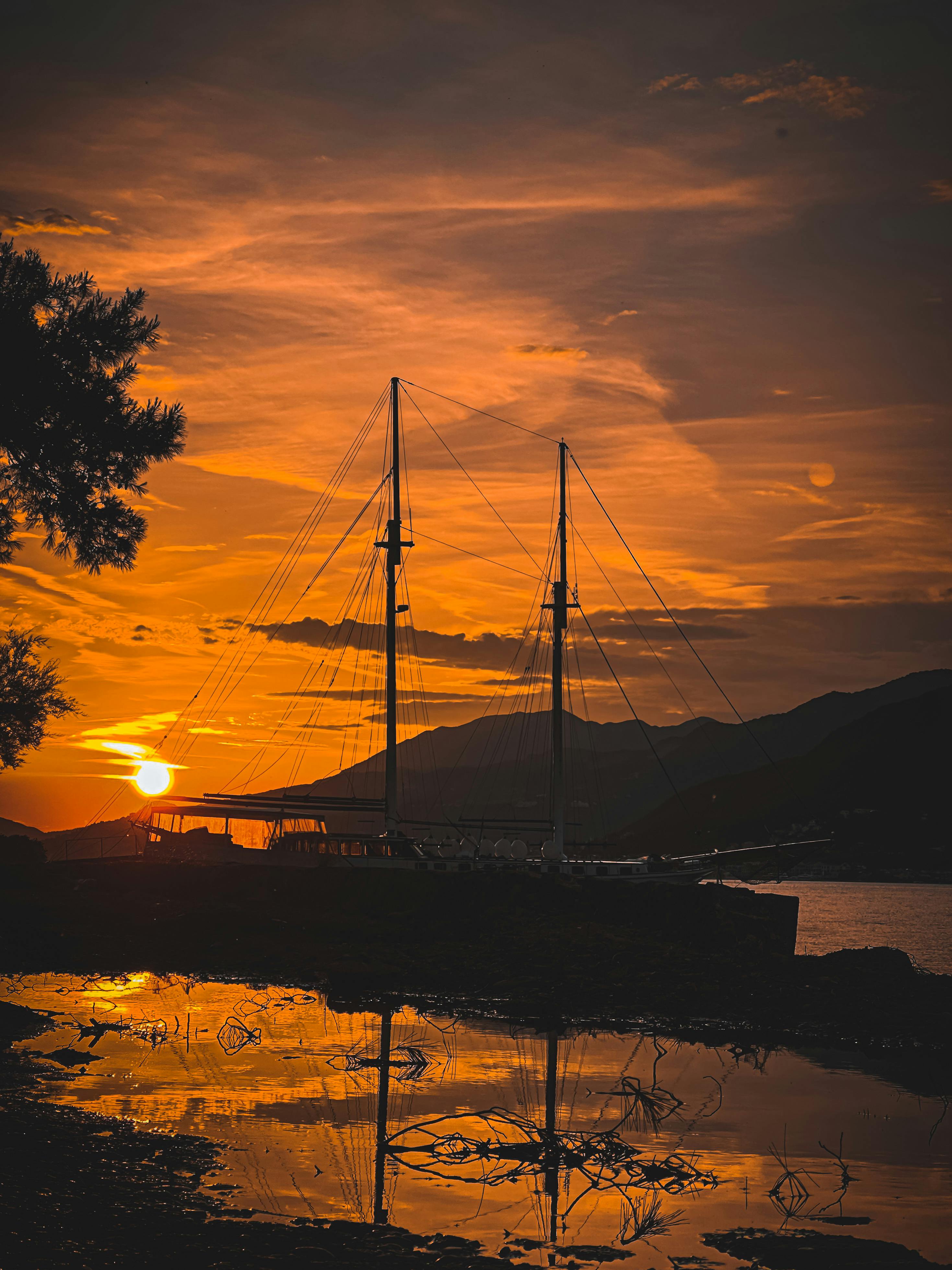 Dusan Stupar - 摄影