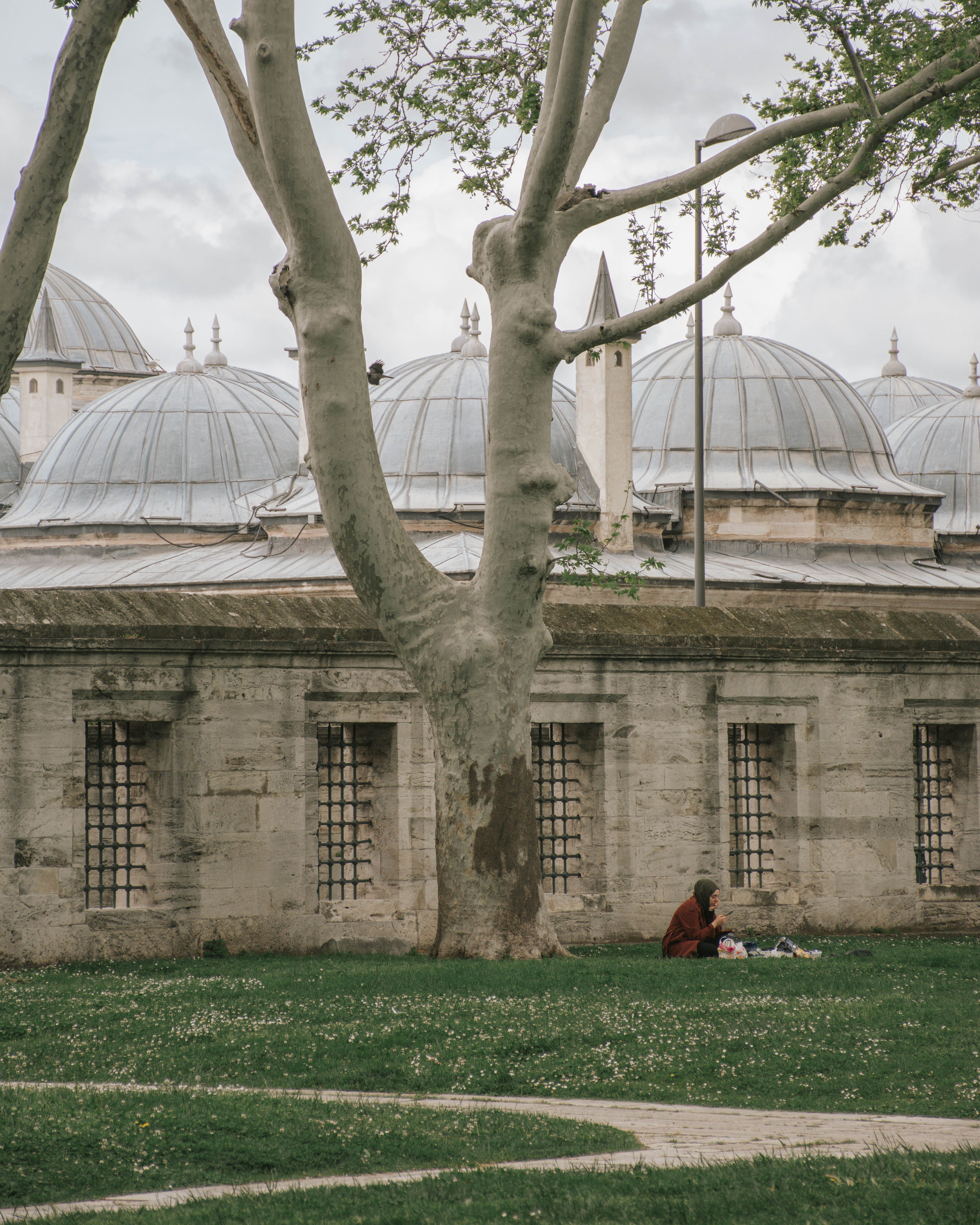 Islam Makhachev Photos, Download The BEST Free Islam Makhachev Stock ...