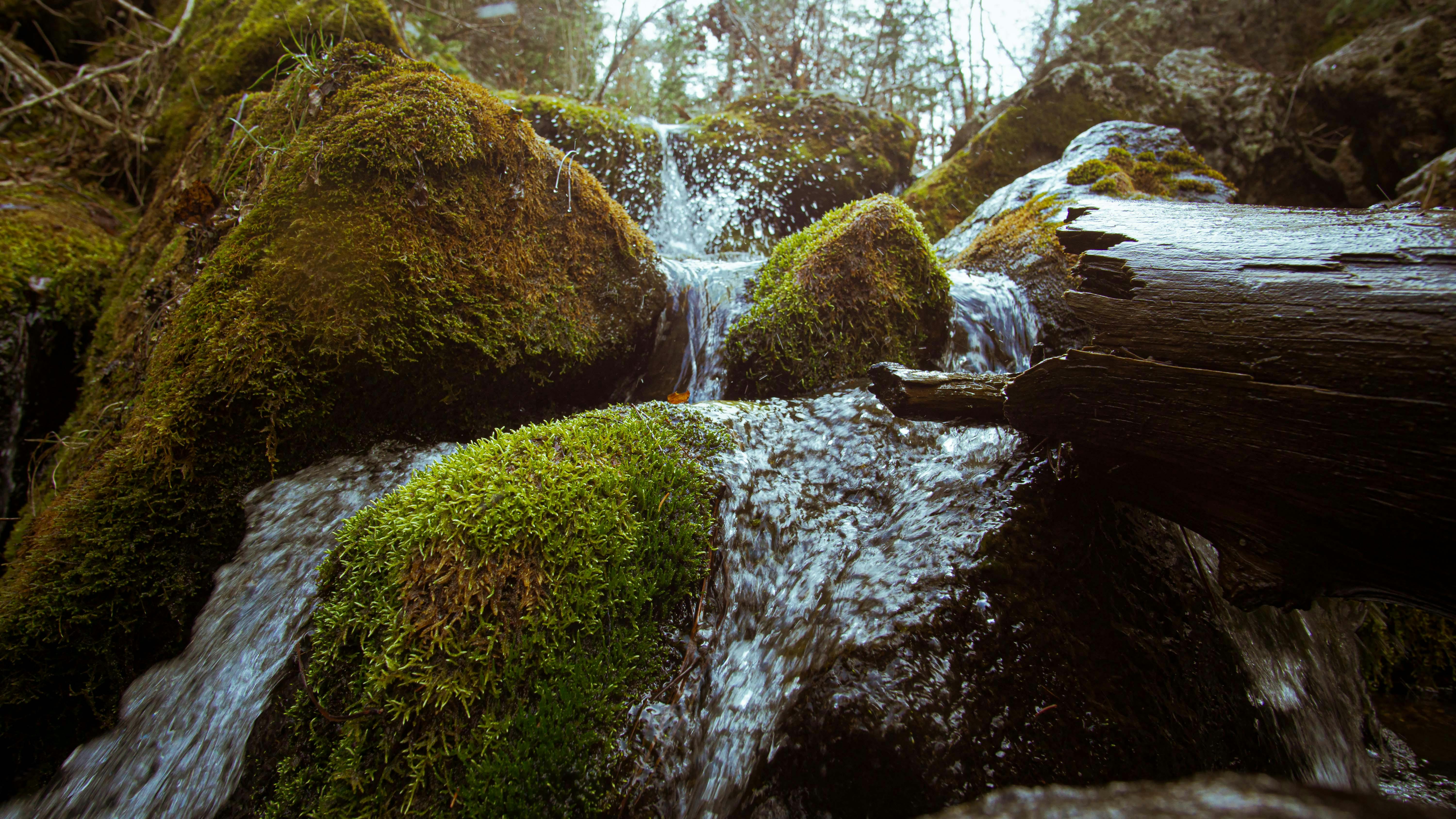 Michael Kessel - Photographie