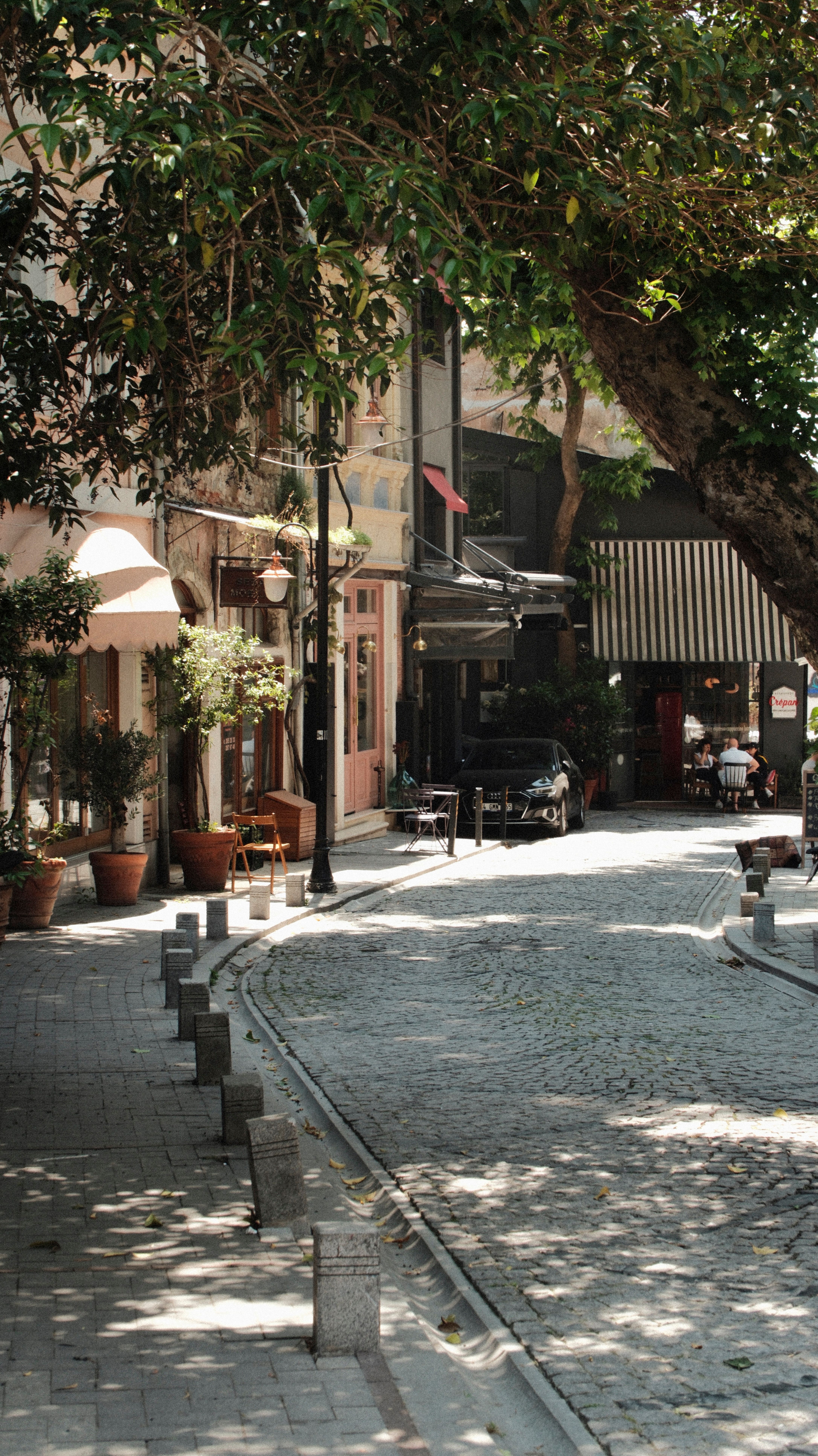 Paved Street with Trees and Old Buildings · Free Stock Photo