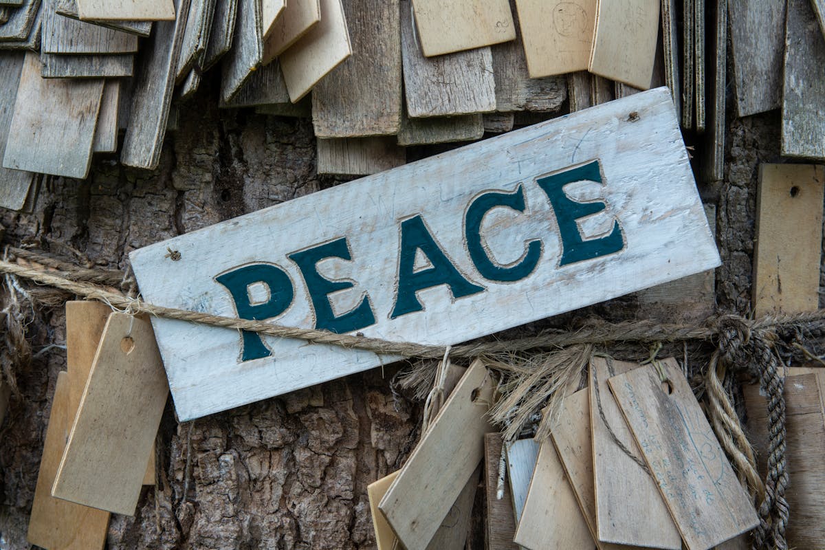 Mice Peace Photos, Download The BEST Free Mice Peace Stock Photos & HD ...