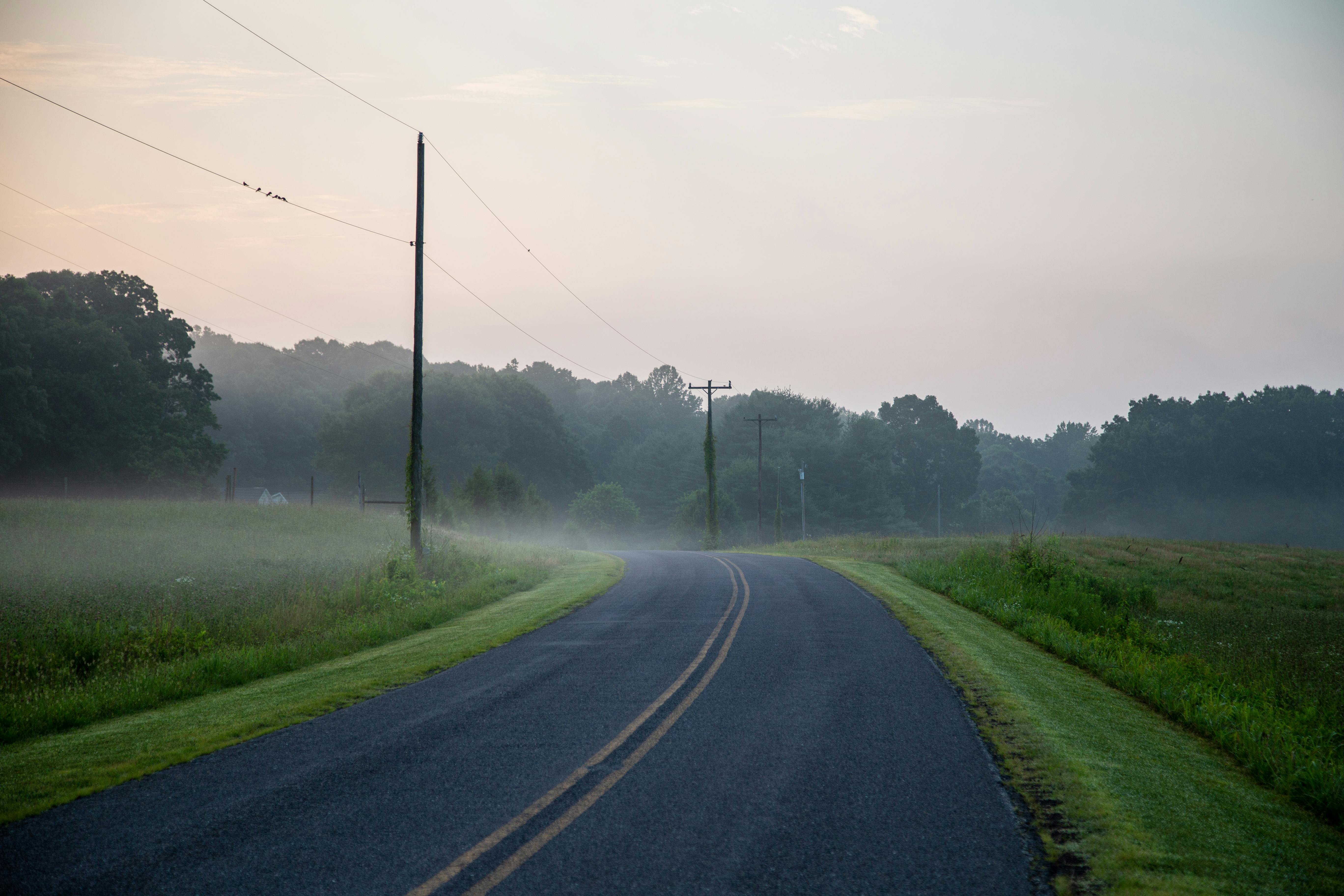 Gray Road Surrounded With Purple Flower Field · Free Stock Photo