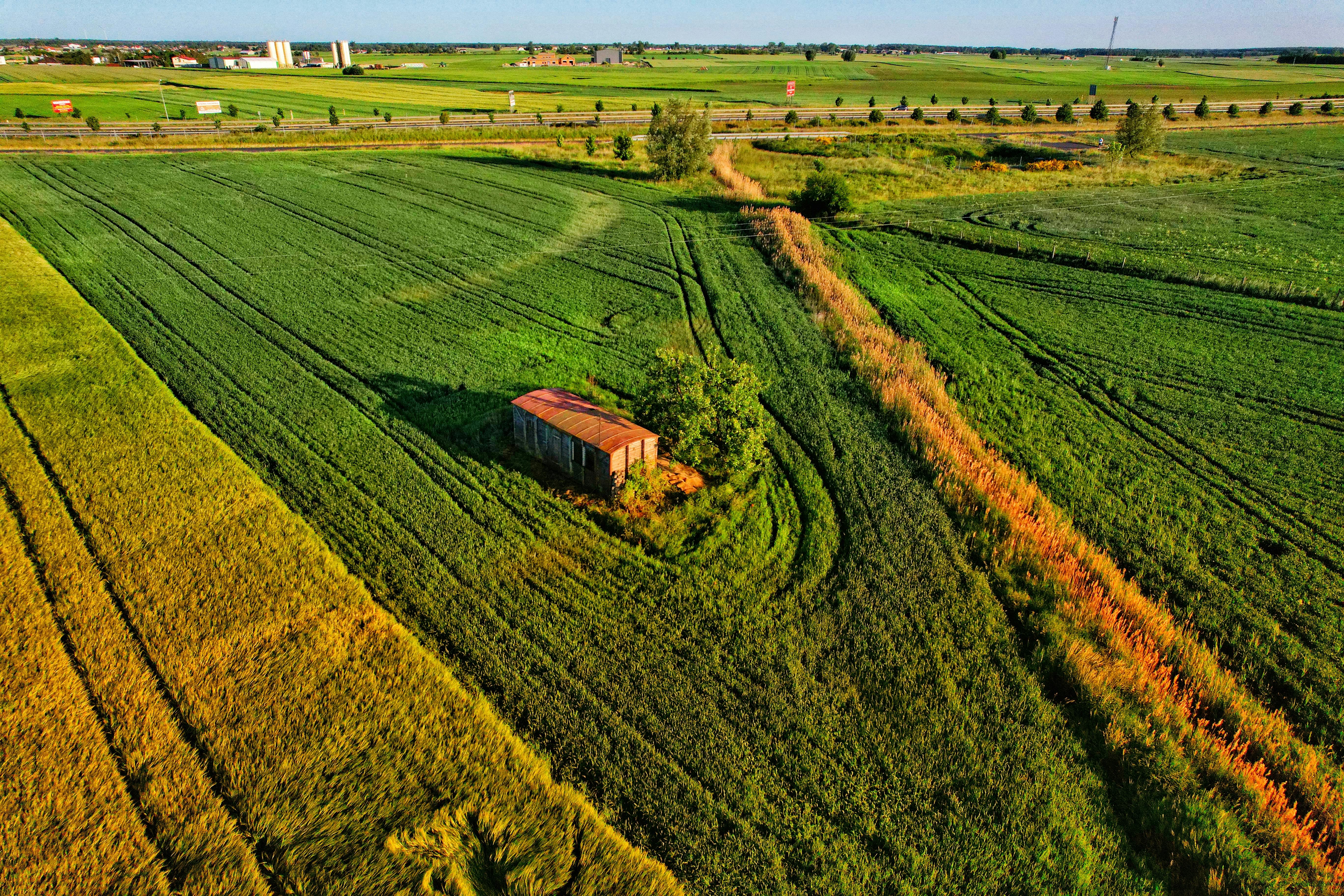 Aerial View of a Cropland in Summer · Free Stock Photo