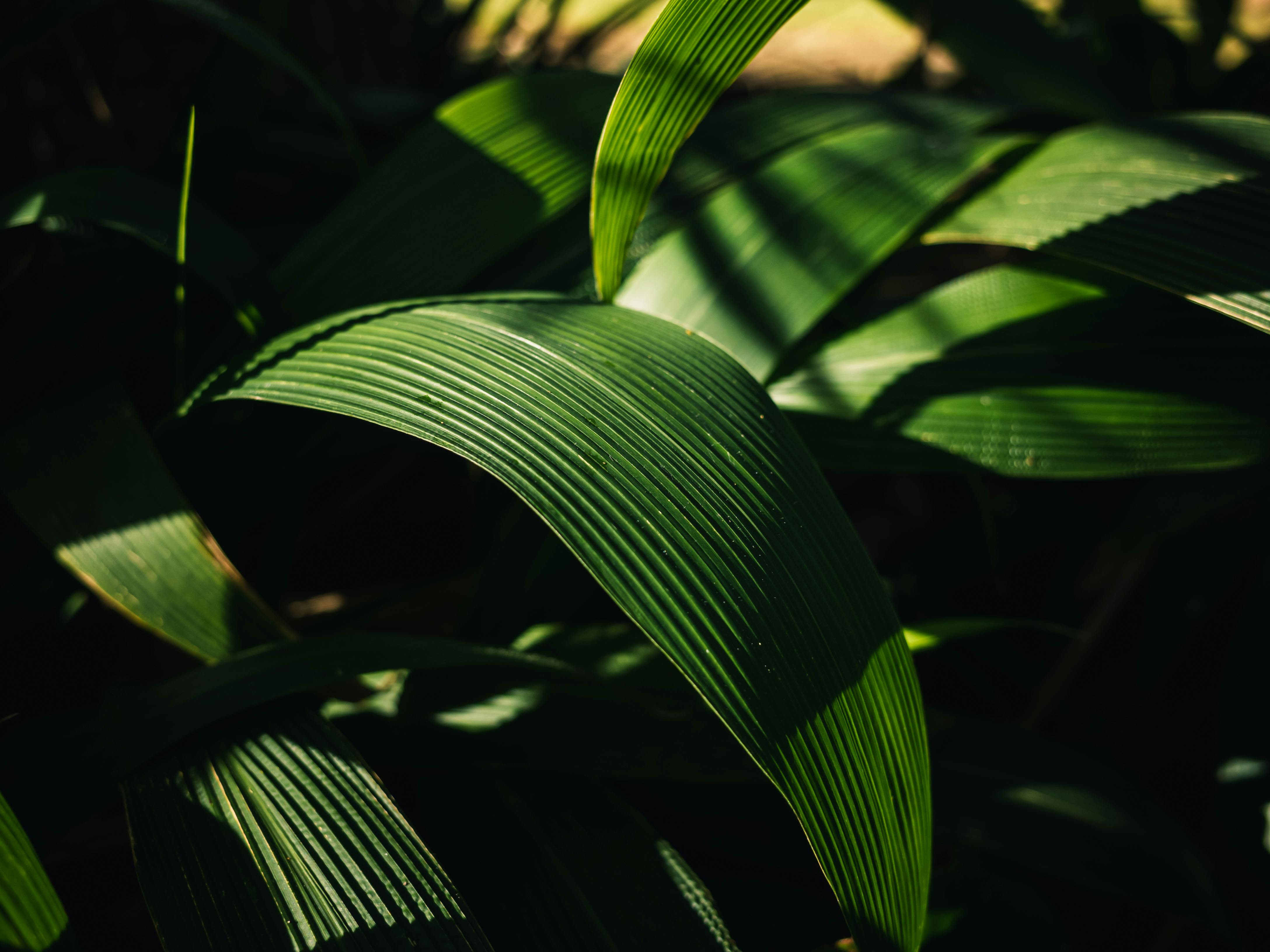 Slim Photos, Download The BEST Free Slim Stock Photos & HD Images