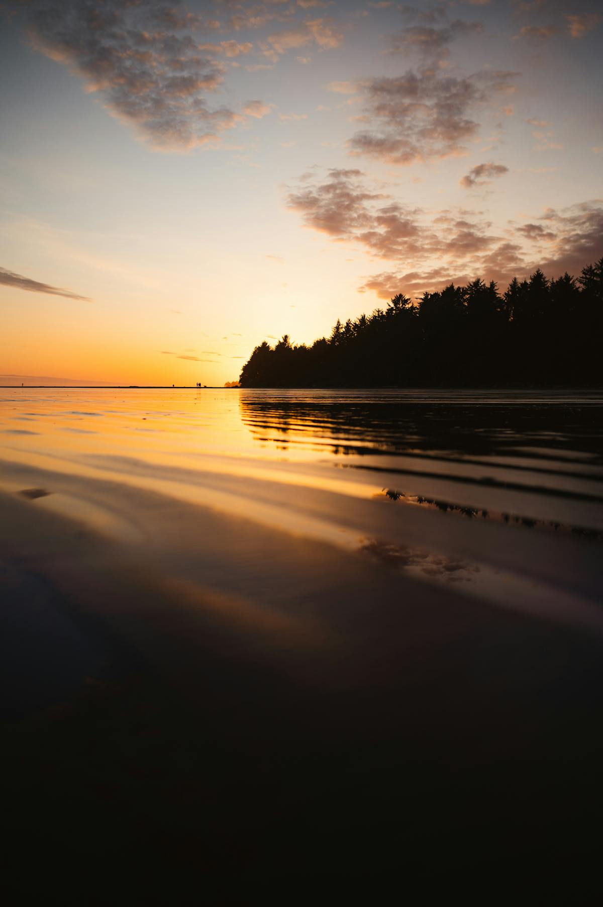 Goodbye Silhouette Photos, Download The BEST Free Goodbye Silhouette ...