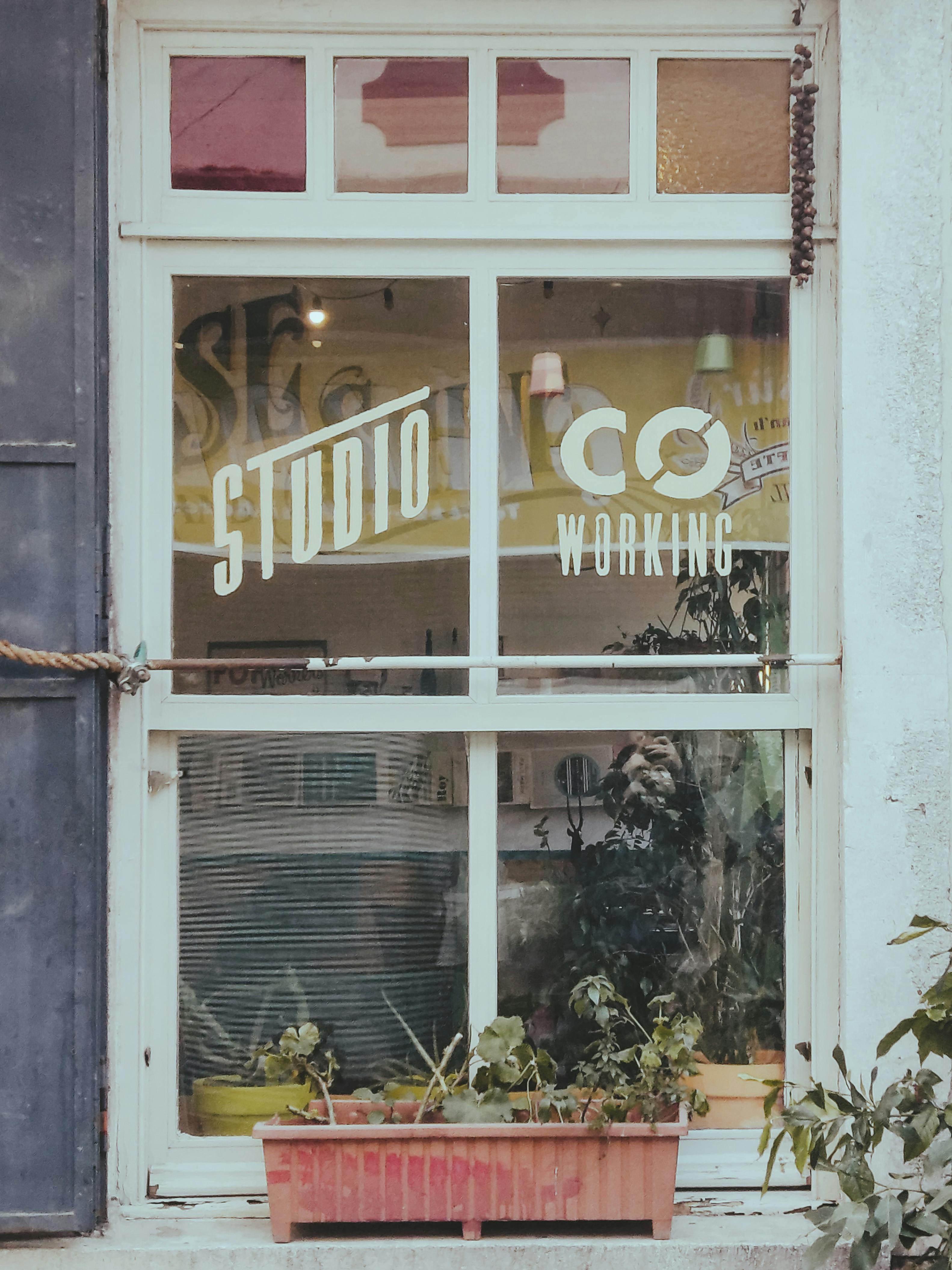 Close-up of a Window with a White Frame · Free Stock Photo