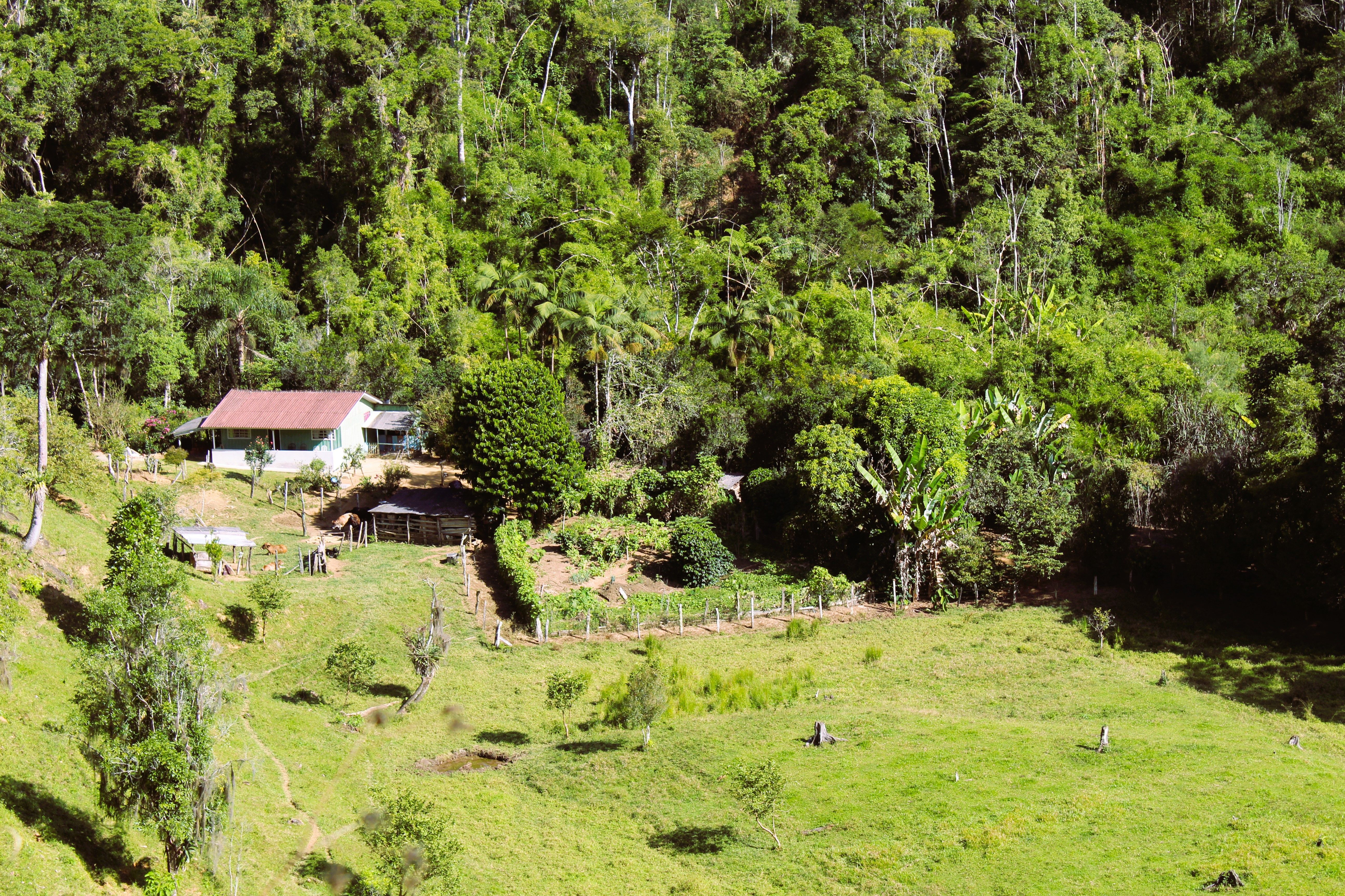 Home Landscape Photos, Download The BEST Free Home Landscape Stock ...