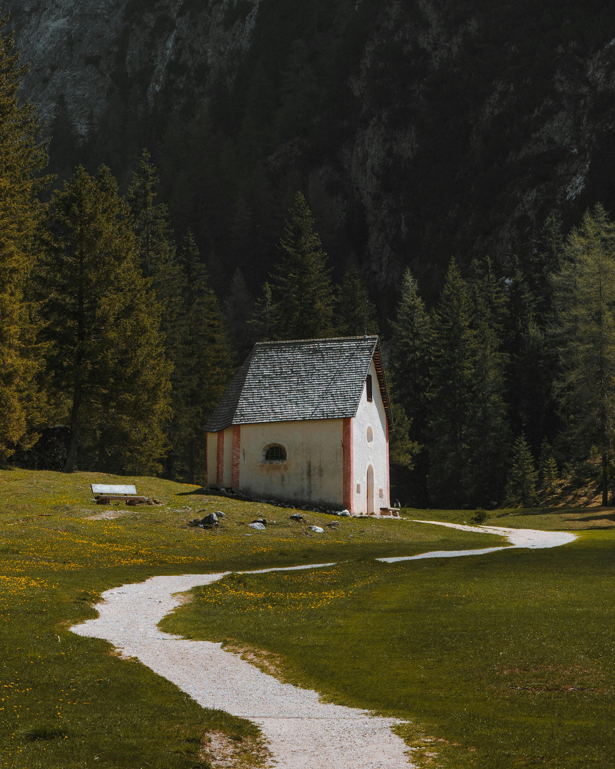 House near Forest · Free Stock Photo