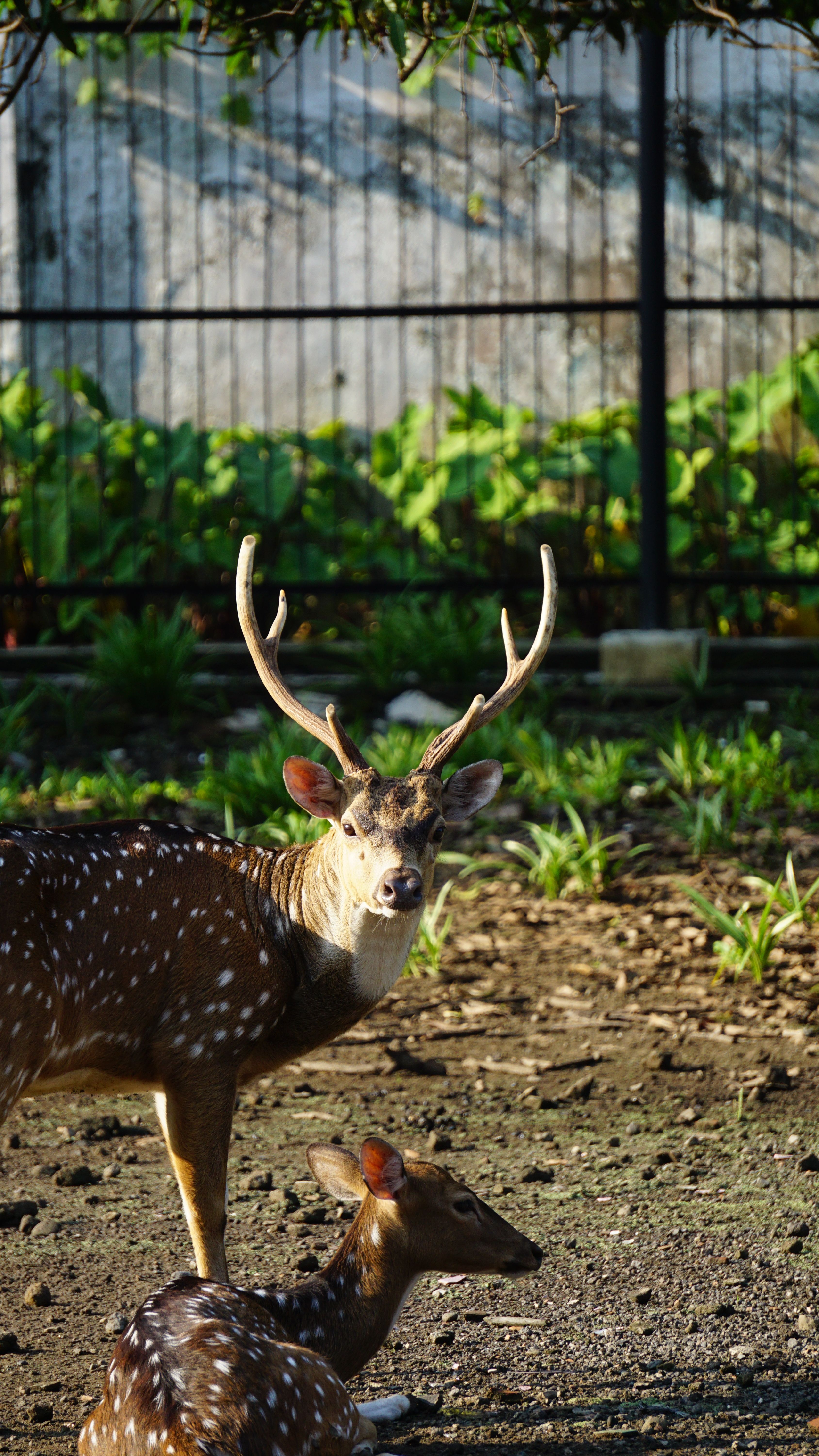 Gun Zoo Photos, Download The BEST Free Gun Zoo Stock Photos & HD Images