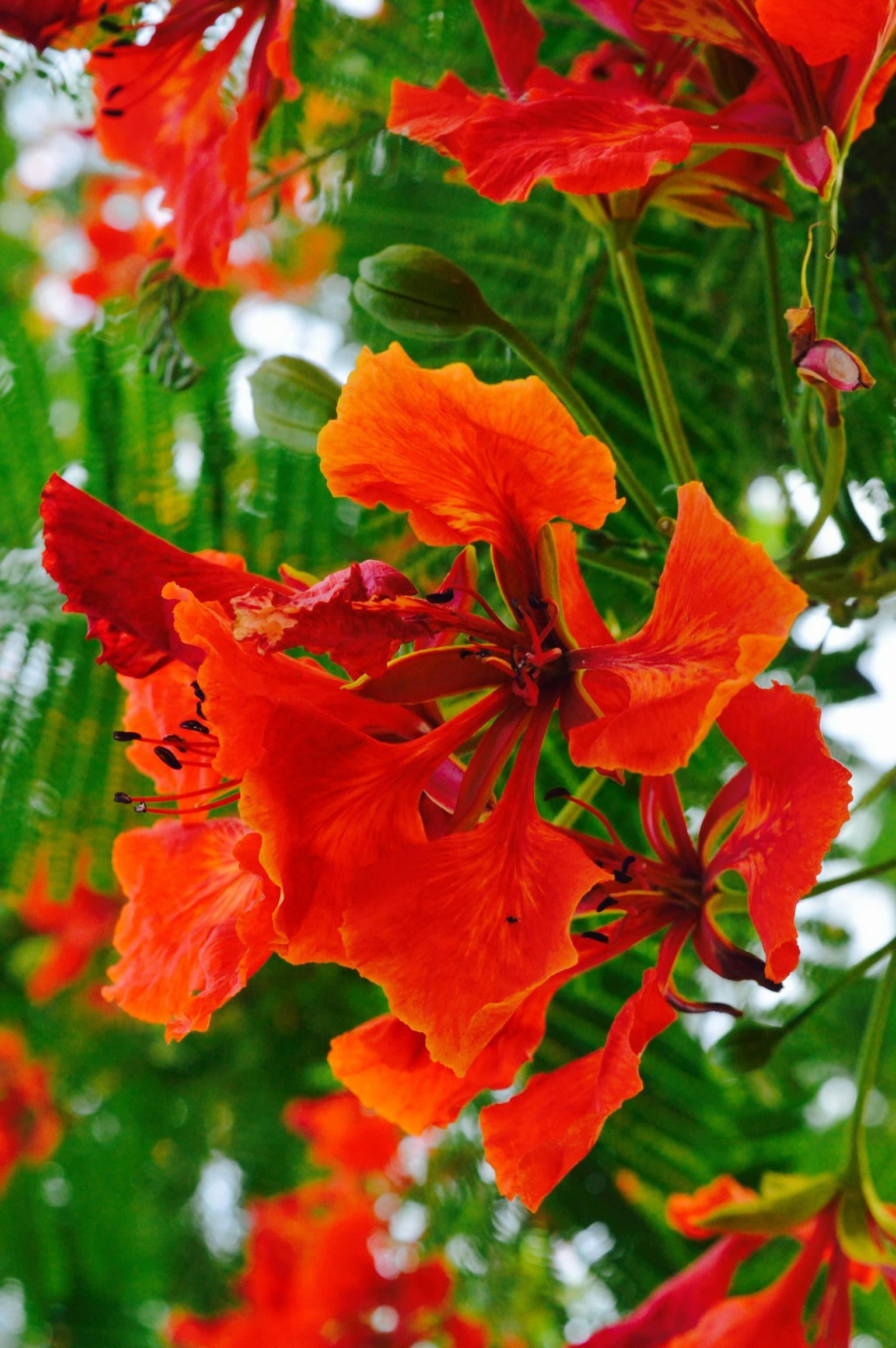 A Magnificent Holiday in Sarawak: Exploring the Hidden Gems of Borneo ...