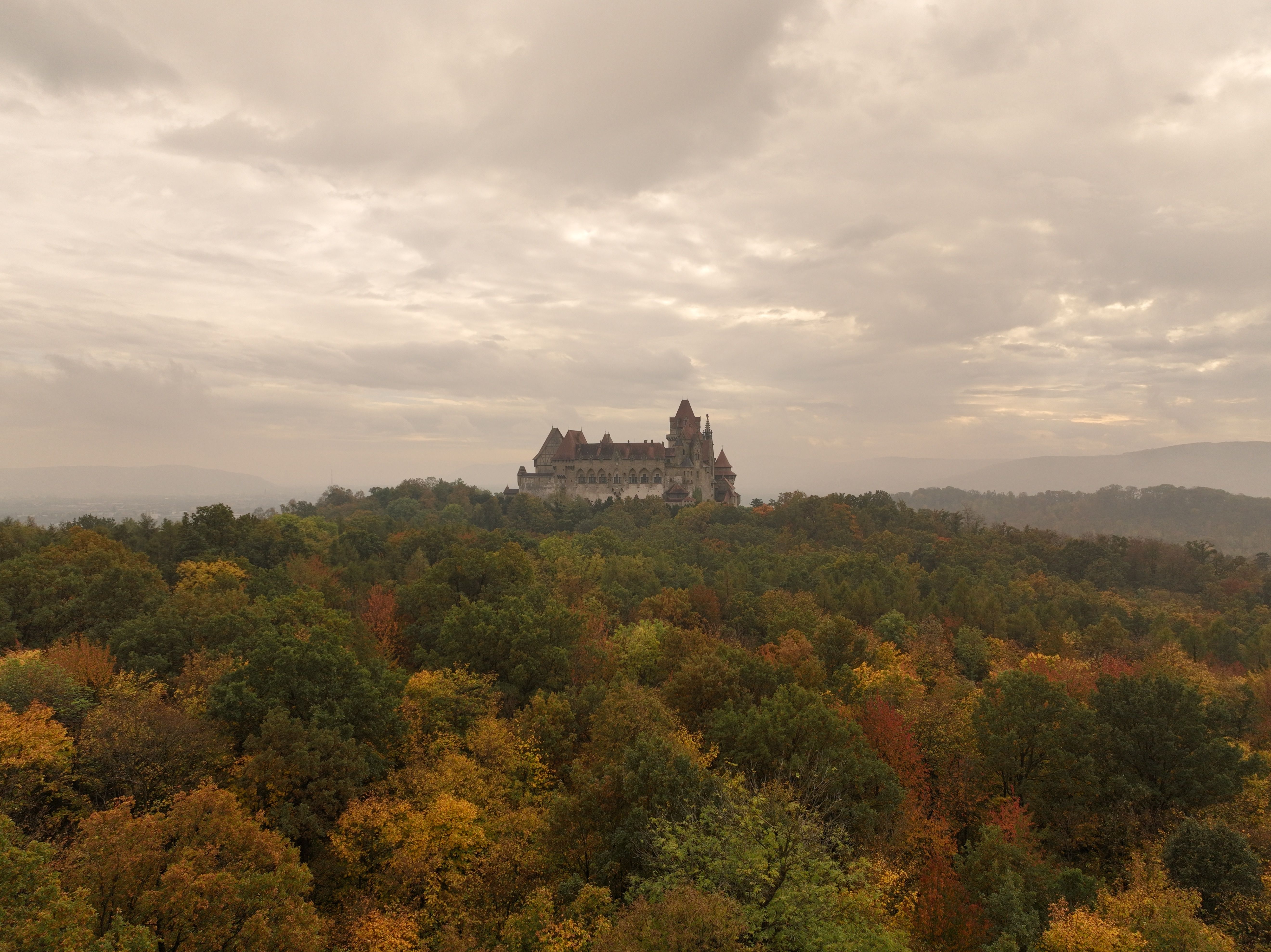 Forest in Autumn with Castle behind · Free Stock Photo