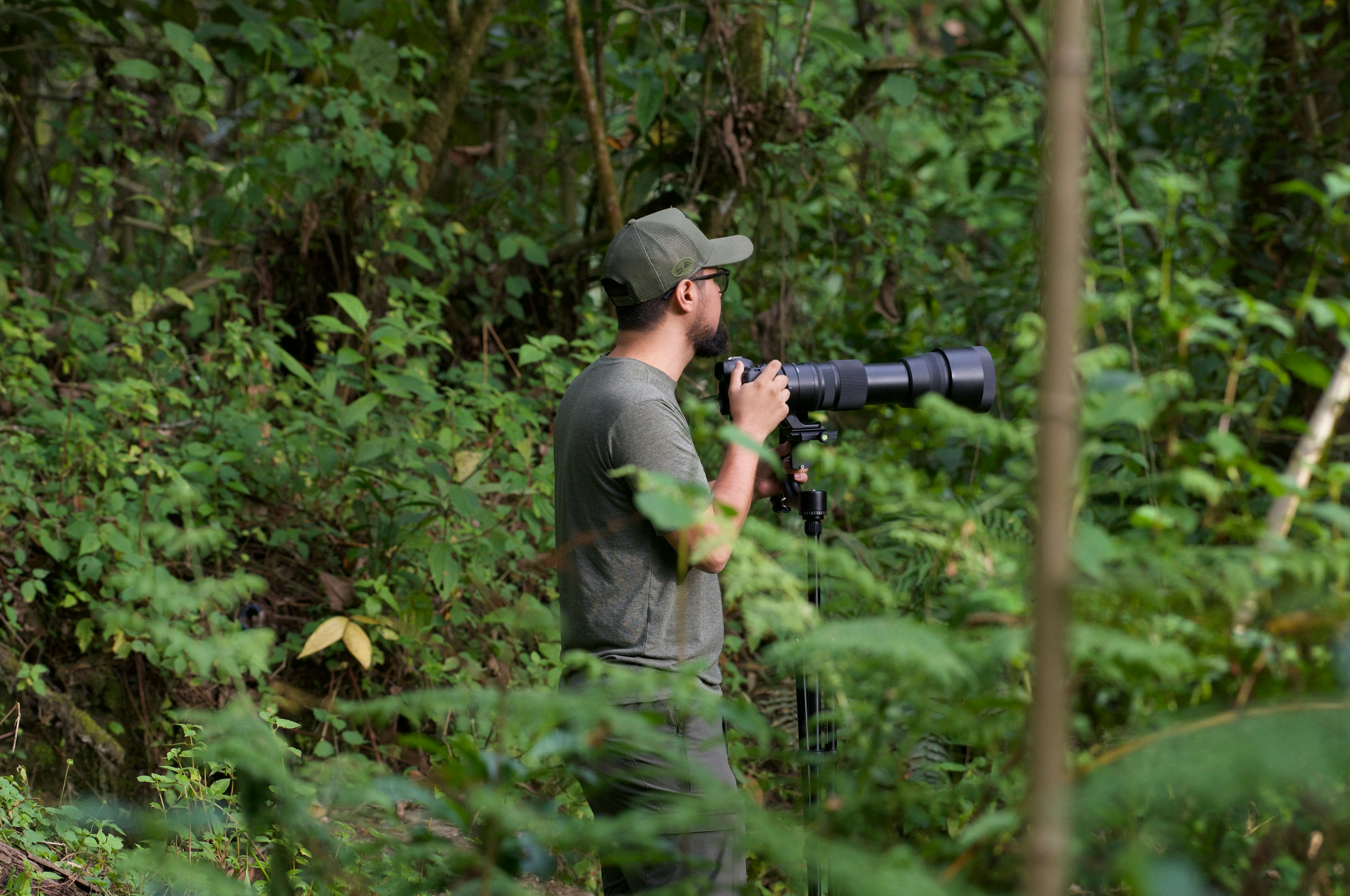 Photographer with camera in Forest · Free Stock Photo
