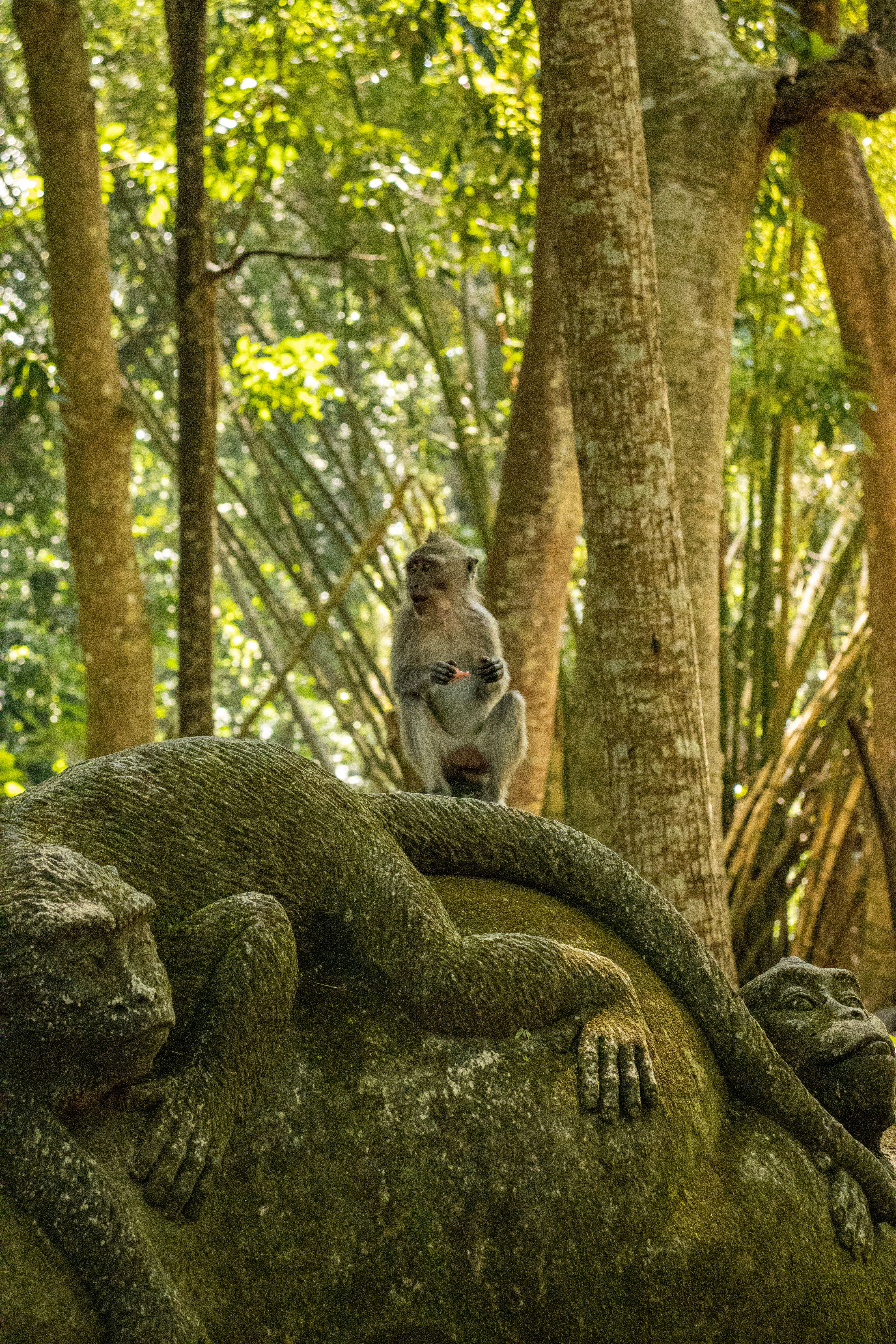 A monkey sits on top of a stone statue in the jungle · Free Stock Photo