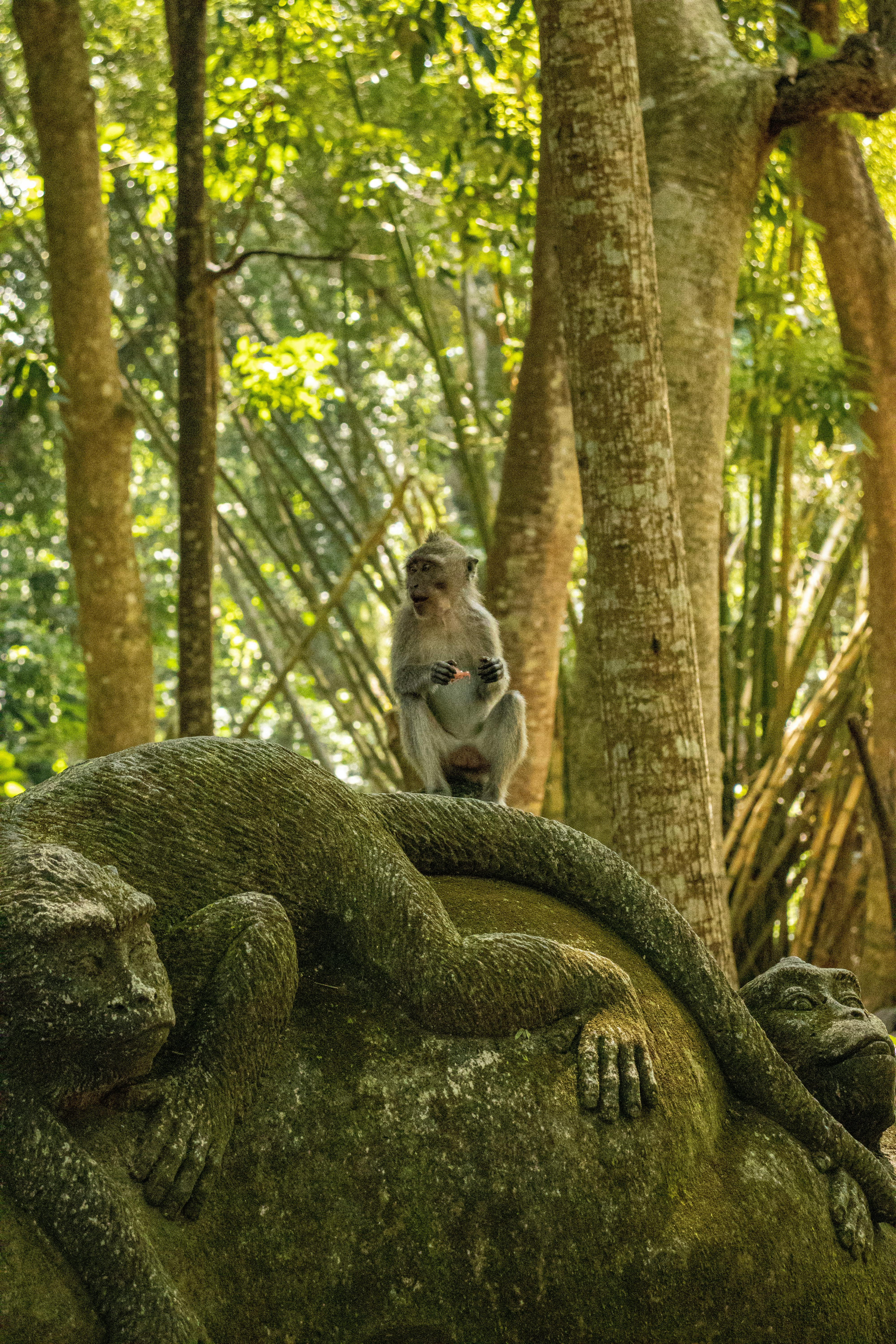 Gray Macaque on a Rock with Carved Monkeys · Free Stock Photo