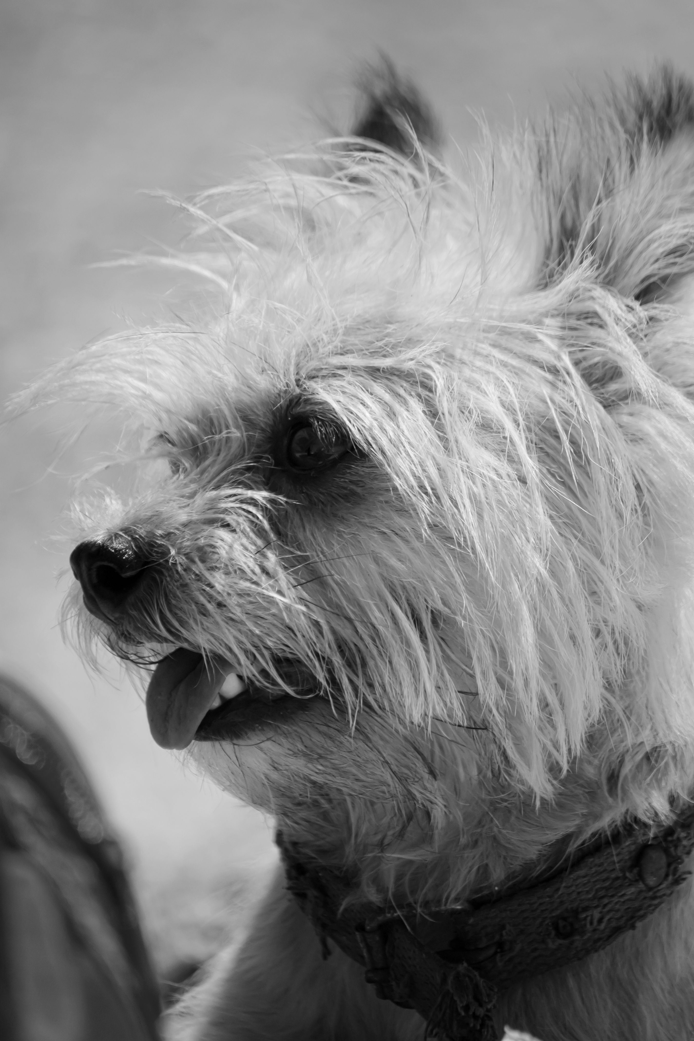 Uffo Photos, Download The BEST Free Uffo Stock Photos & HD Images