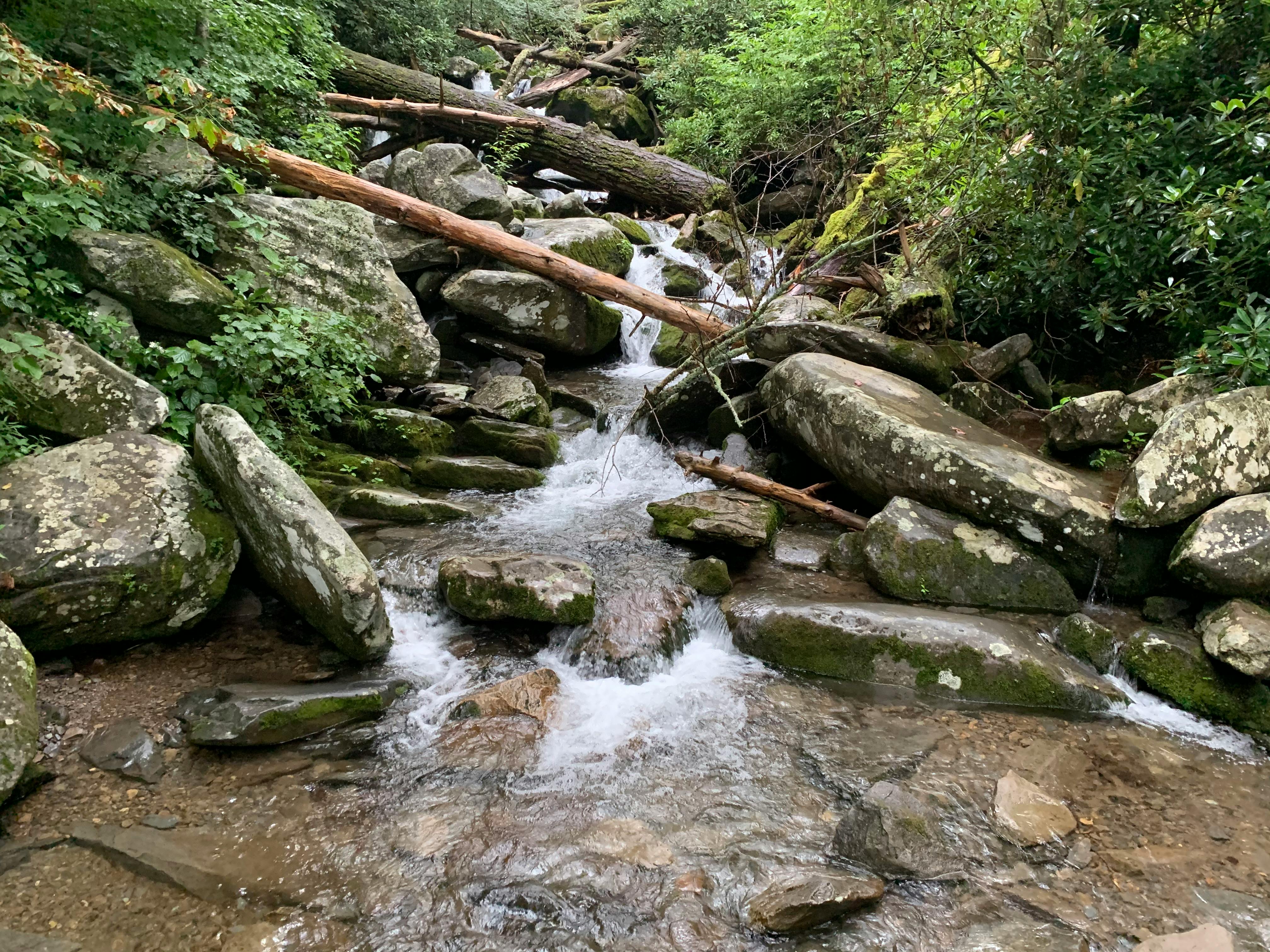 Broken Trees and Rocks over Stream · Free Stock Photo