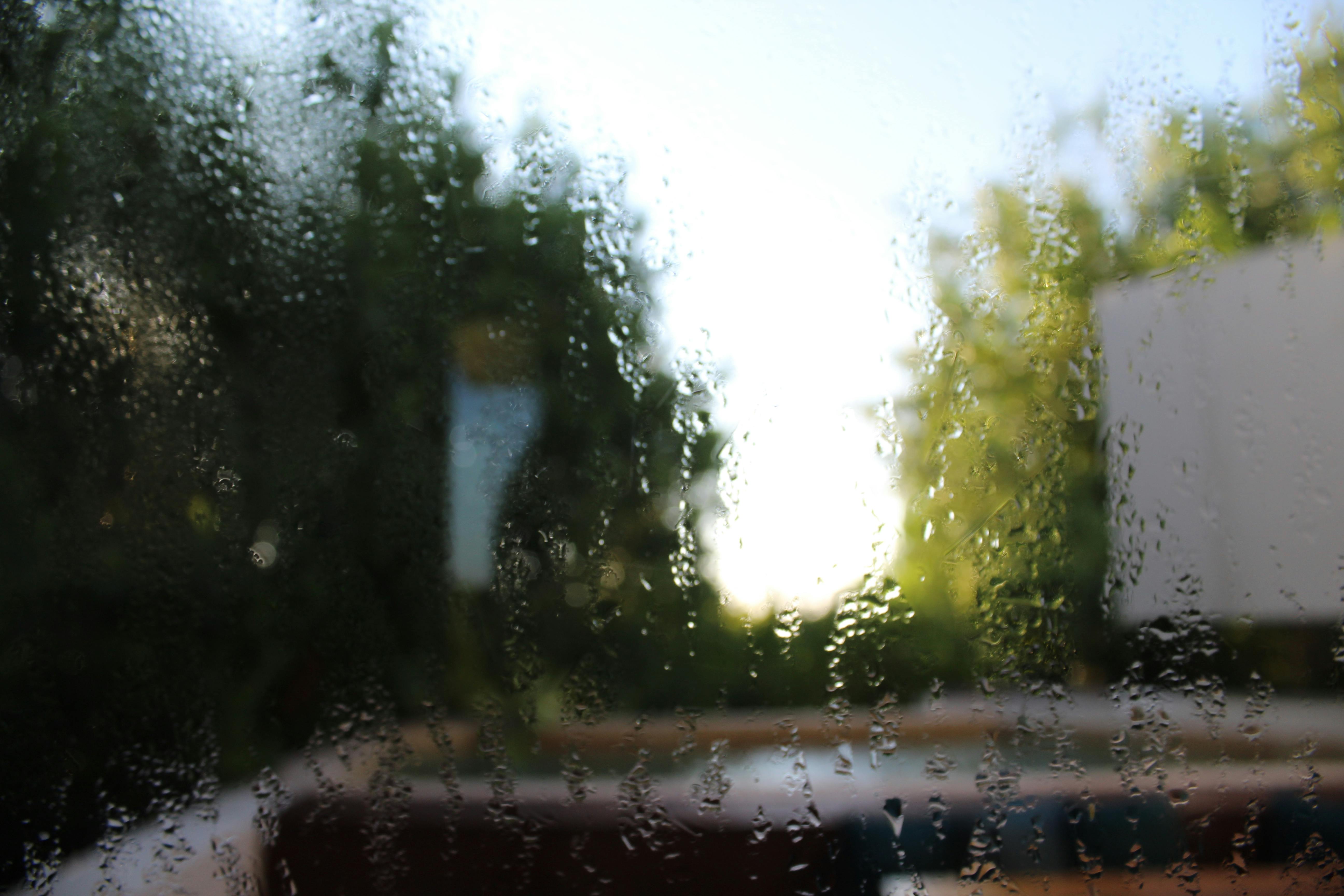 Mexico 8 Photos & Videos Collected by Zachary Tang