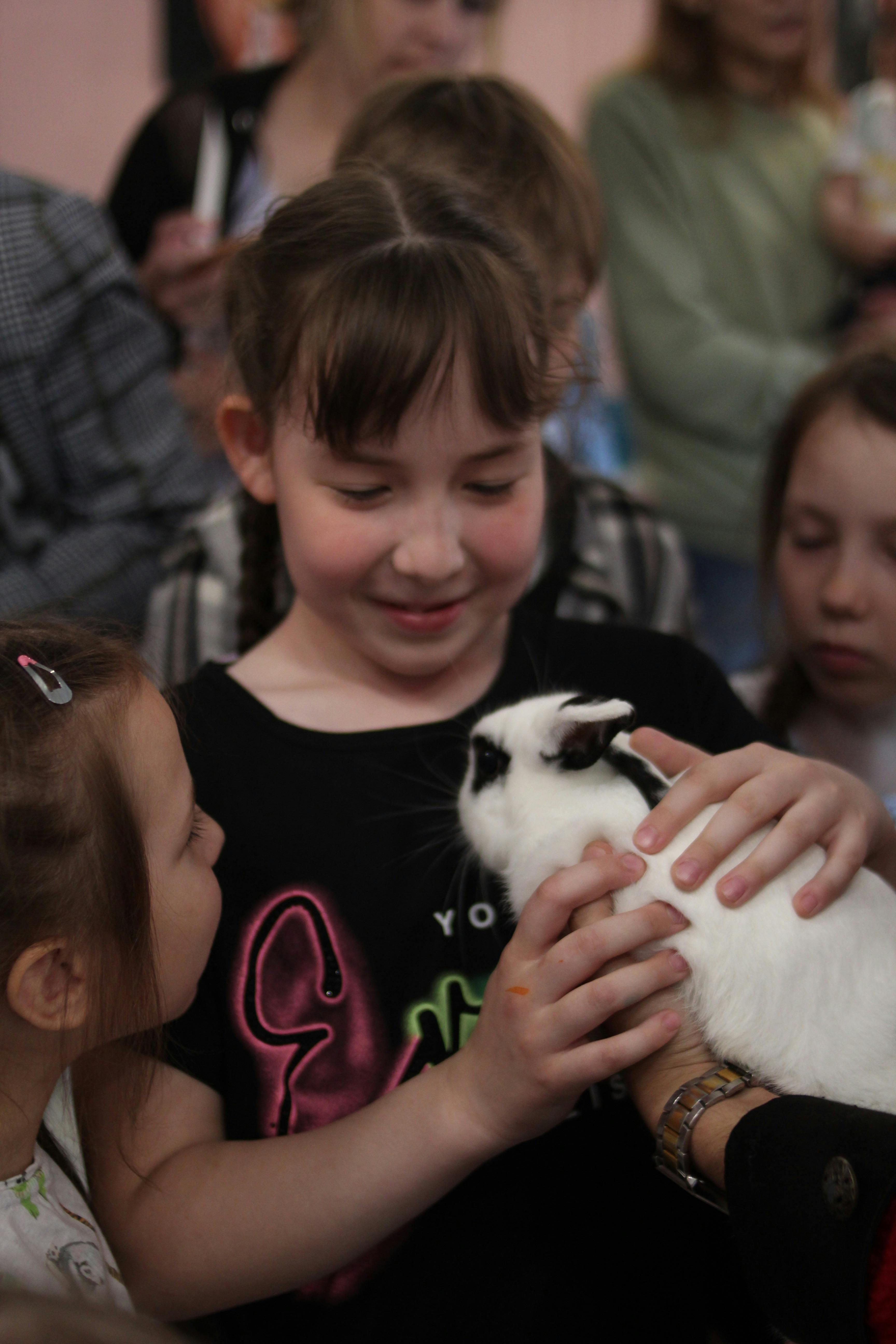 Snow Bunny Photos, Download The BEST Free Snow Bunny Stock Photos & HD ...