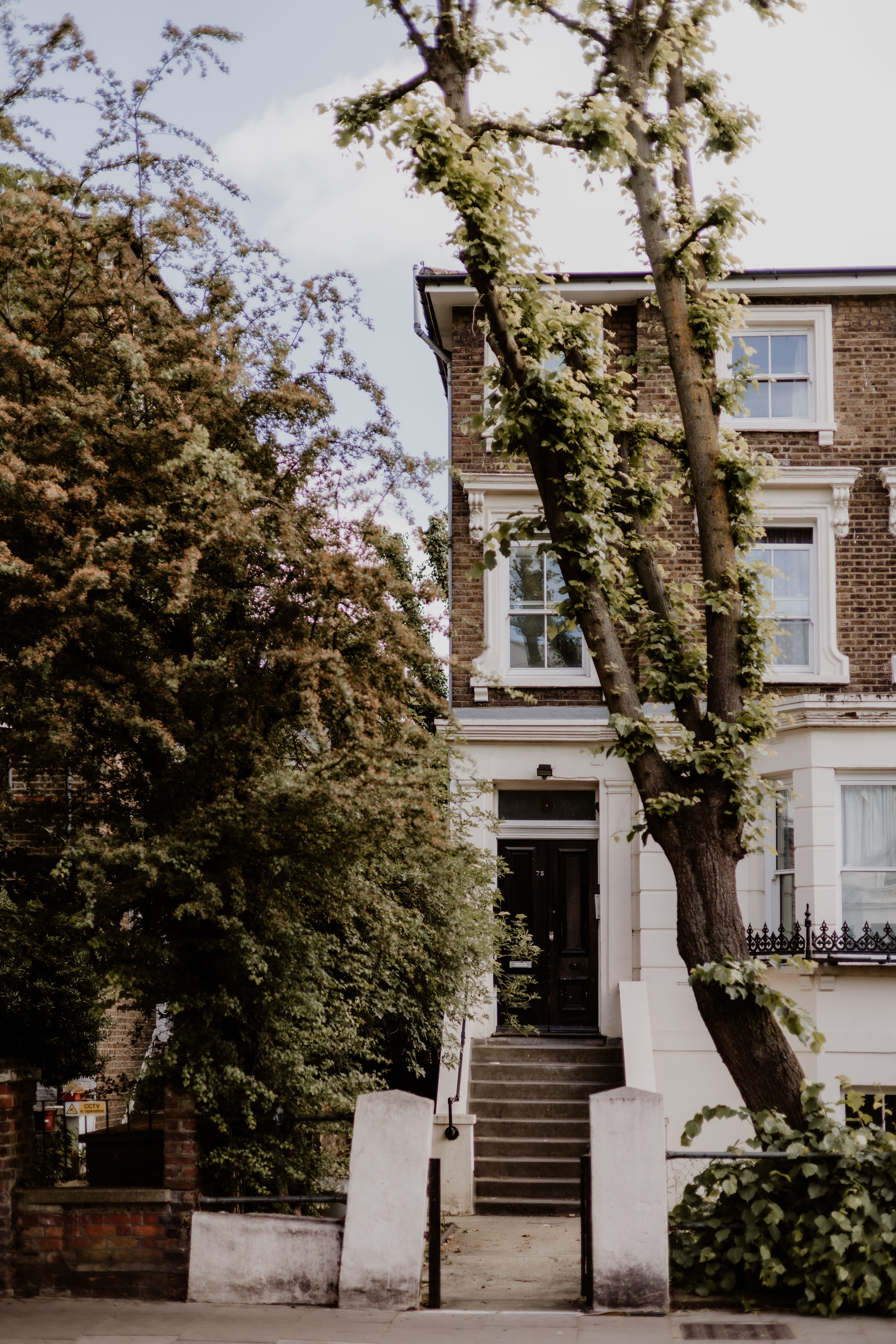 Trees and Facade of a Townhouse · Free Stock Photo