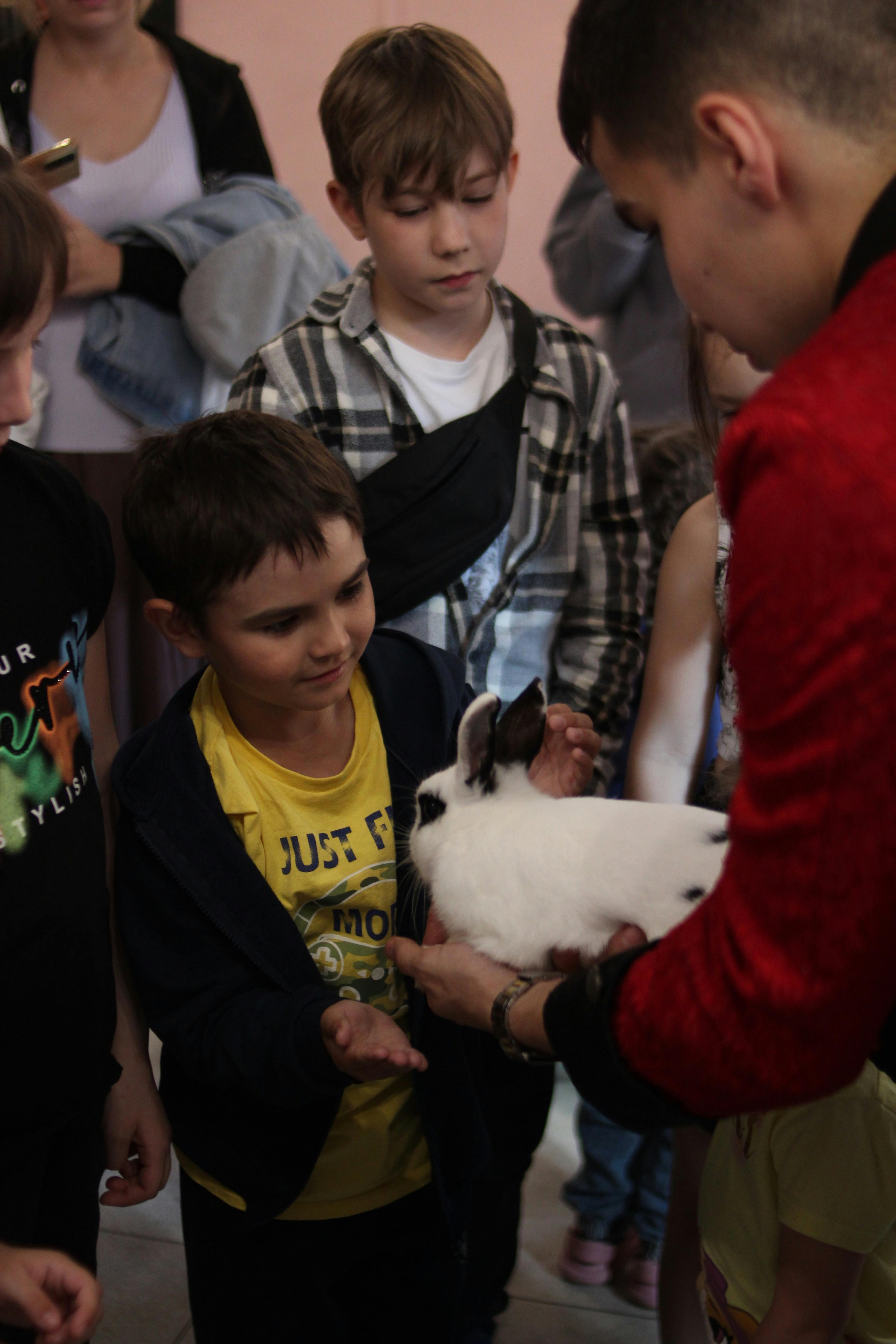 Children Watching a Rabbit · Free Stock Photo