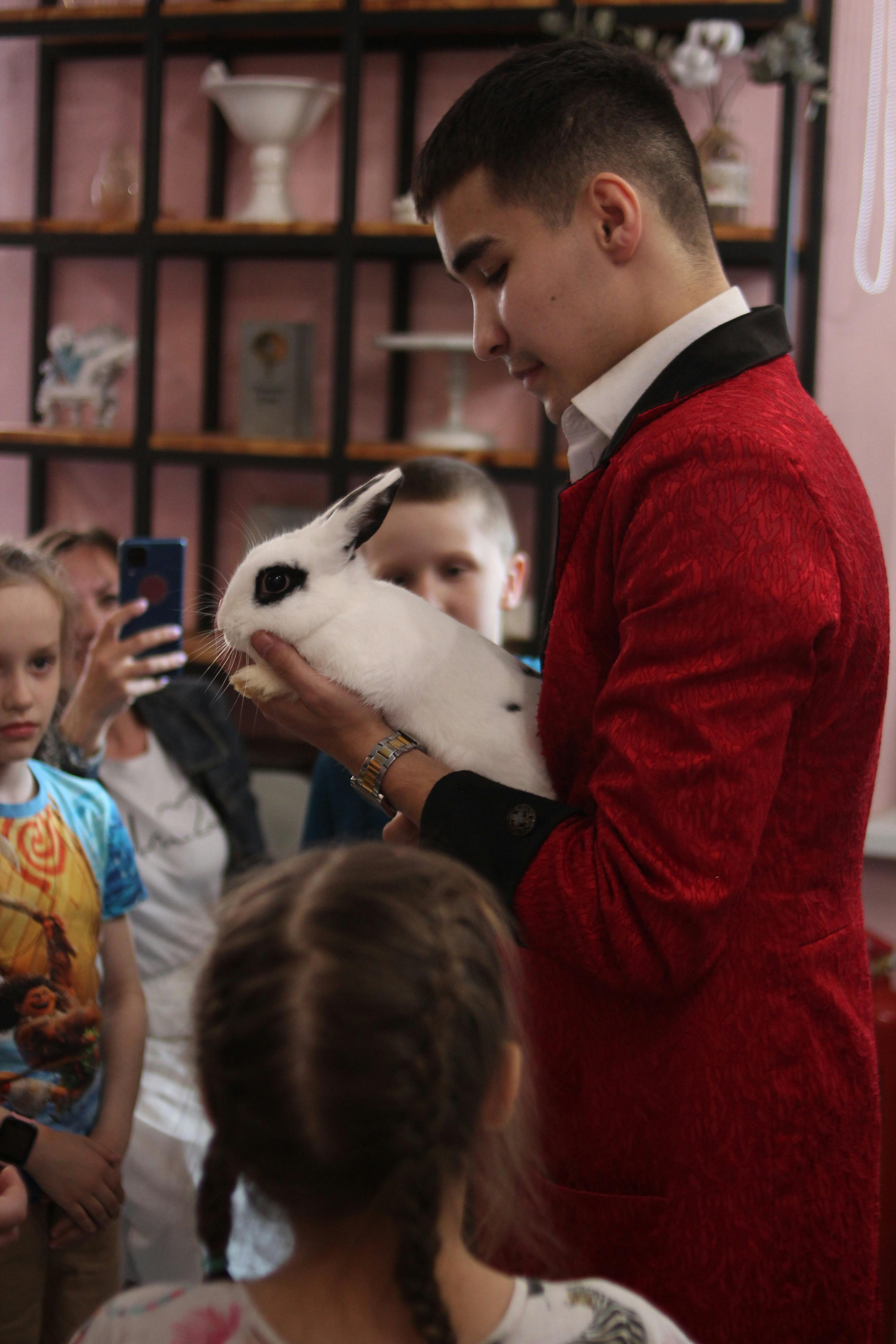 Man Holding a Rabbit · Free Stock Photo