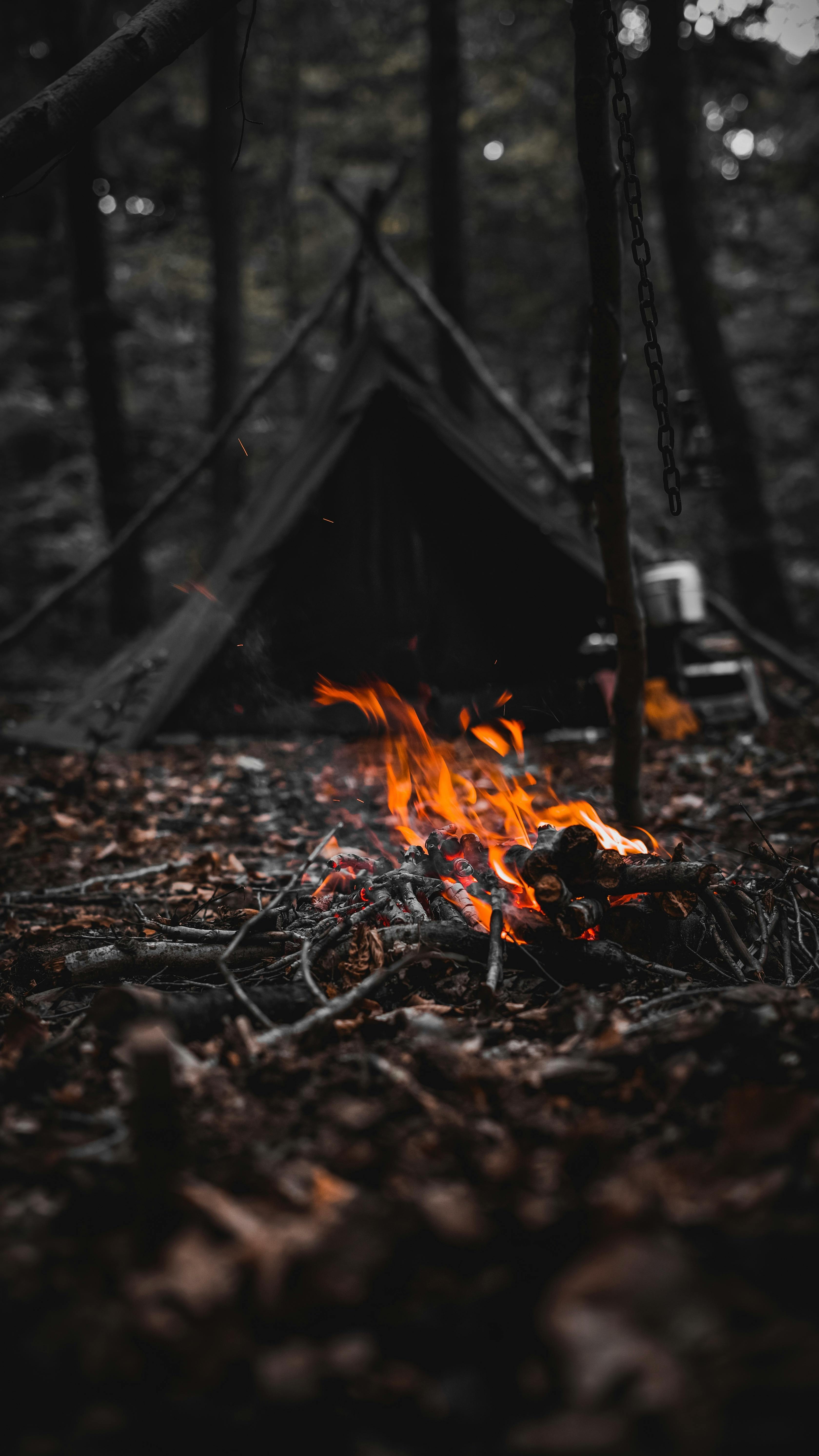4k Campfire Photos, Download The BEST Free 4k Campfire Stock Photos ...