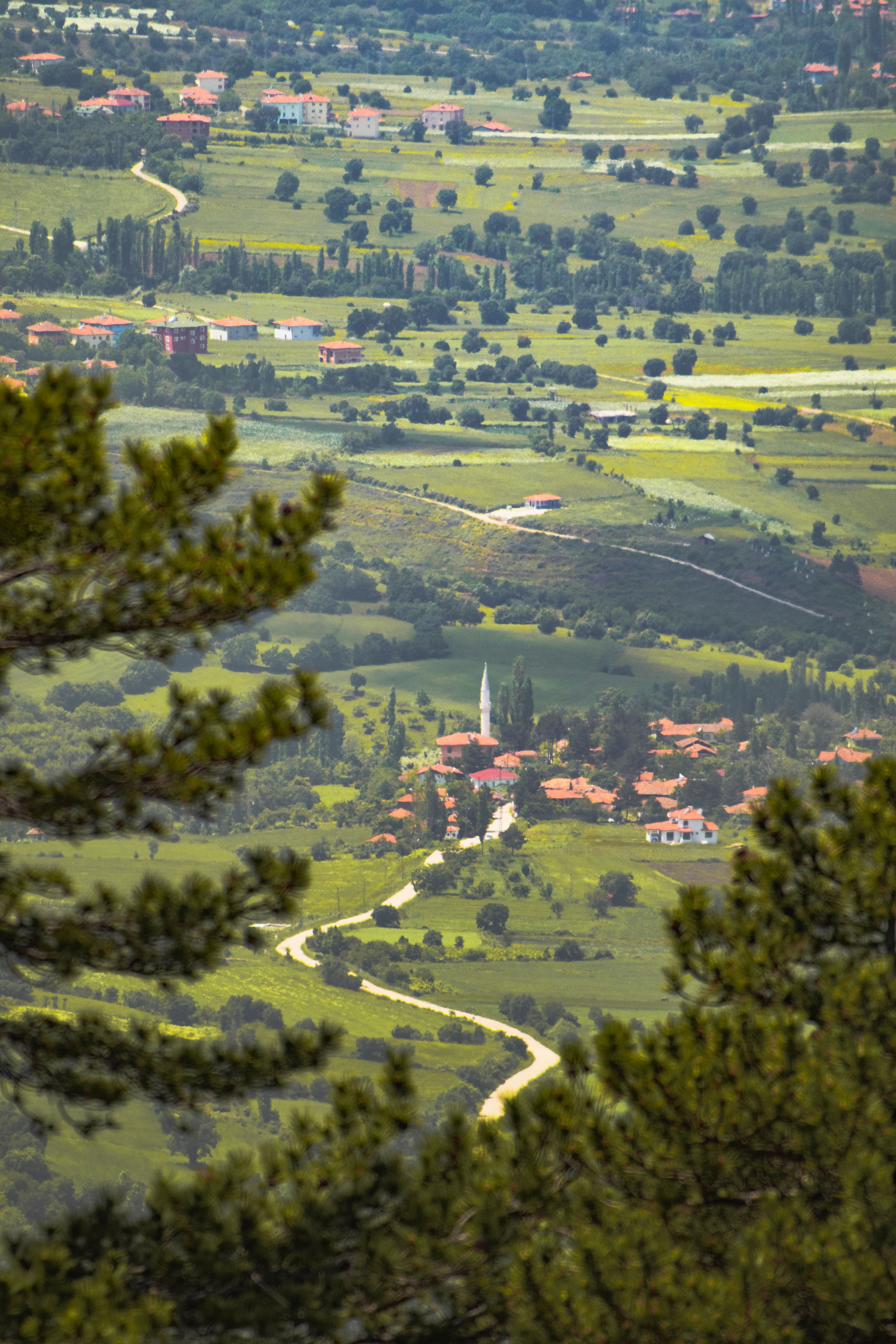 Aerial Photo of a Serpent Road and a Village Among Fields · Free Stock ...