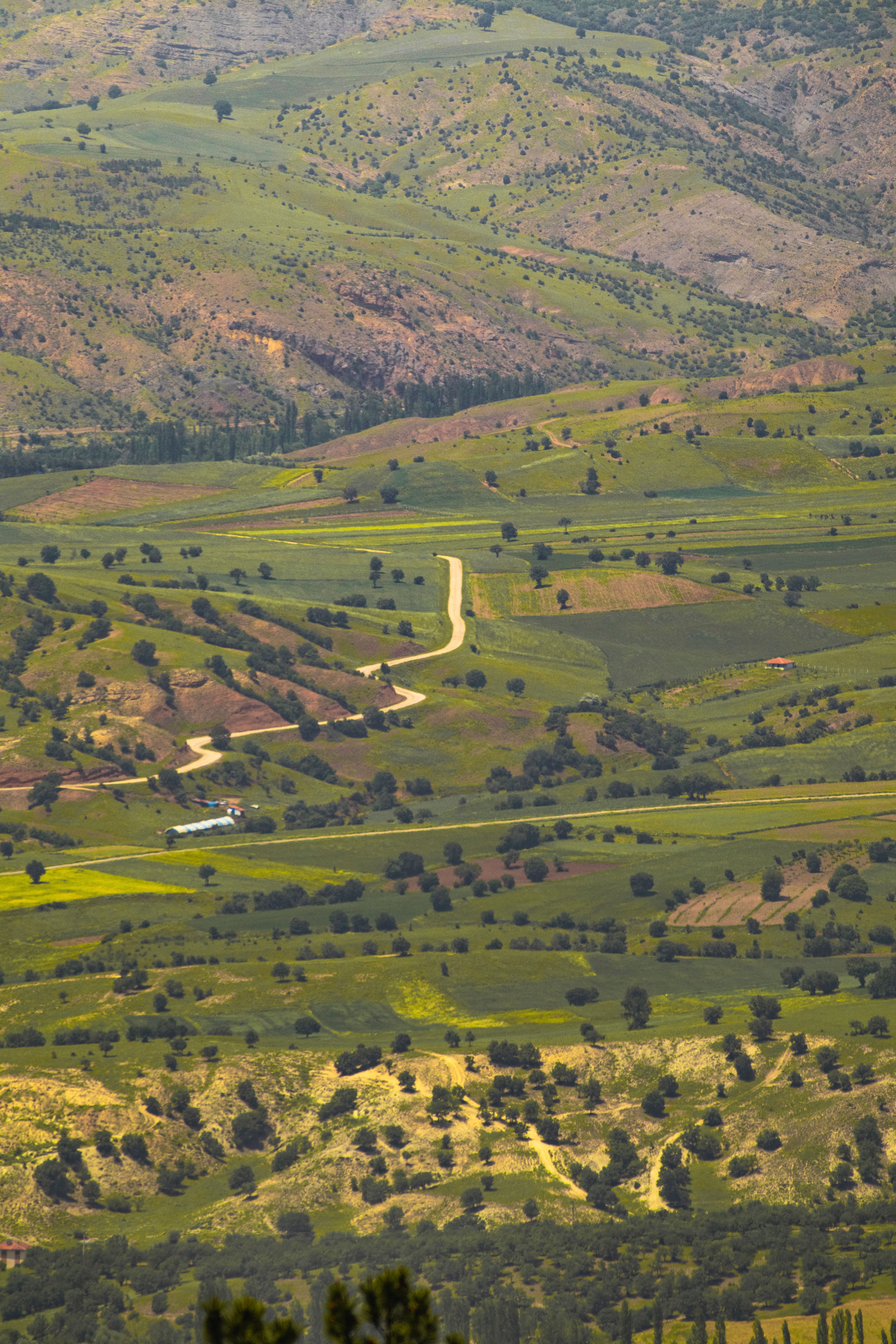 Aerail Photo of a Rolling Landscape · Free Stock Photo