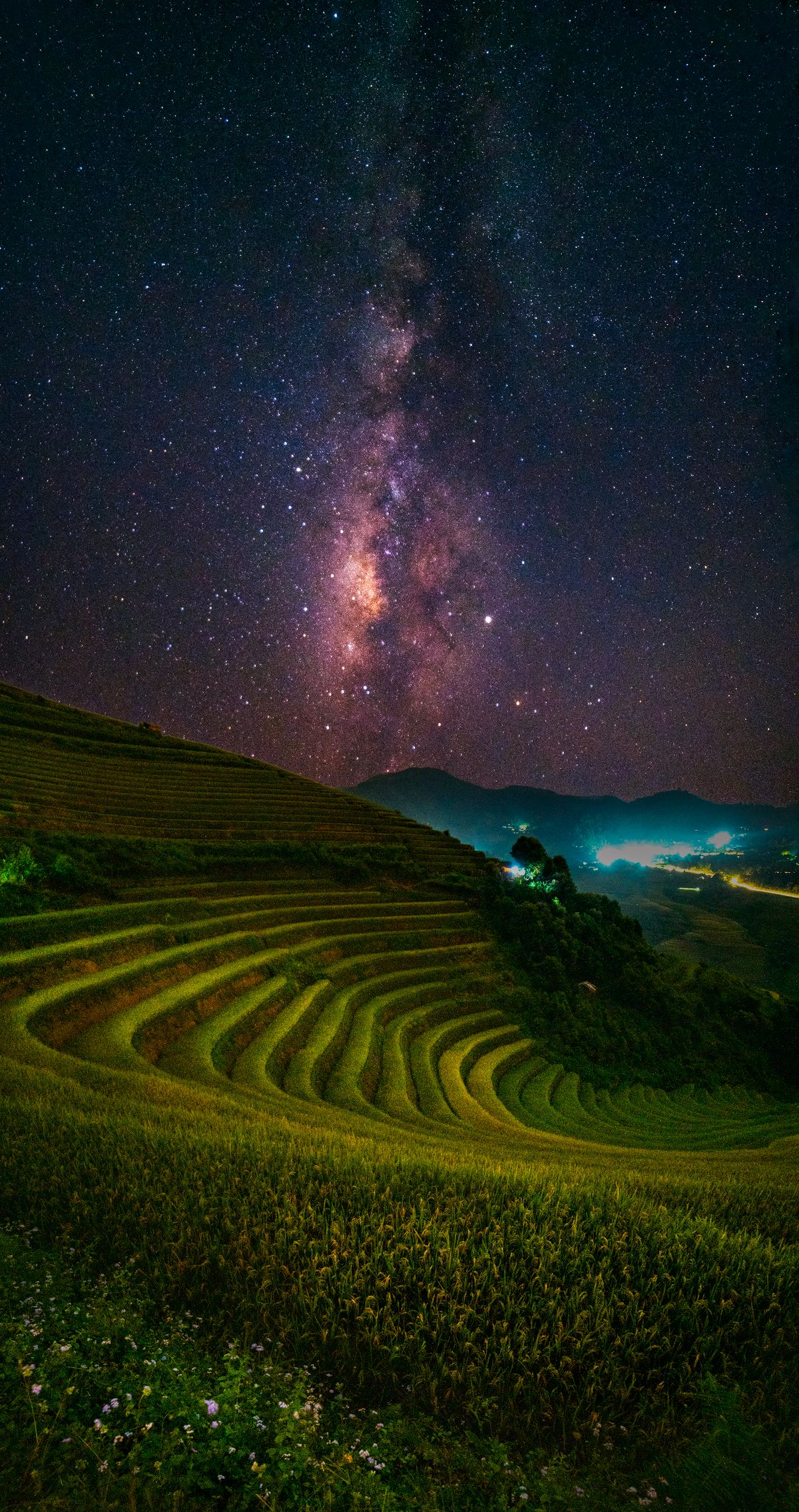 Rice Field Wallpaper Photos, Download The BEST Free Rice Field ...