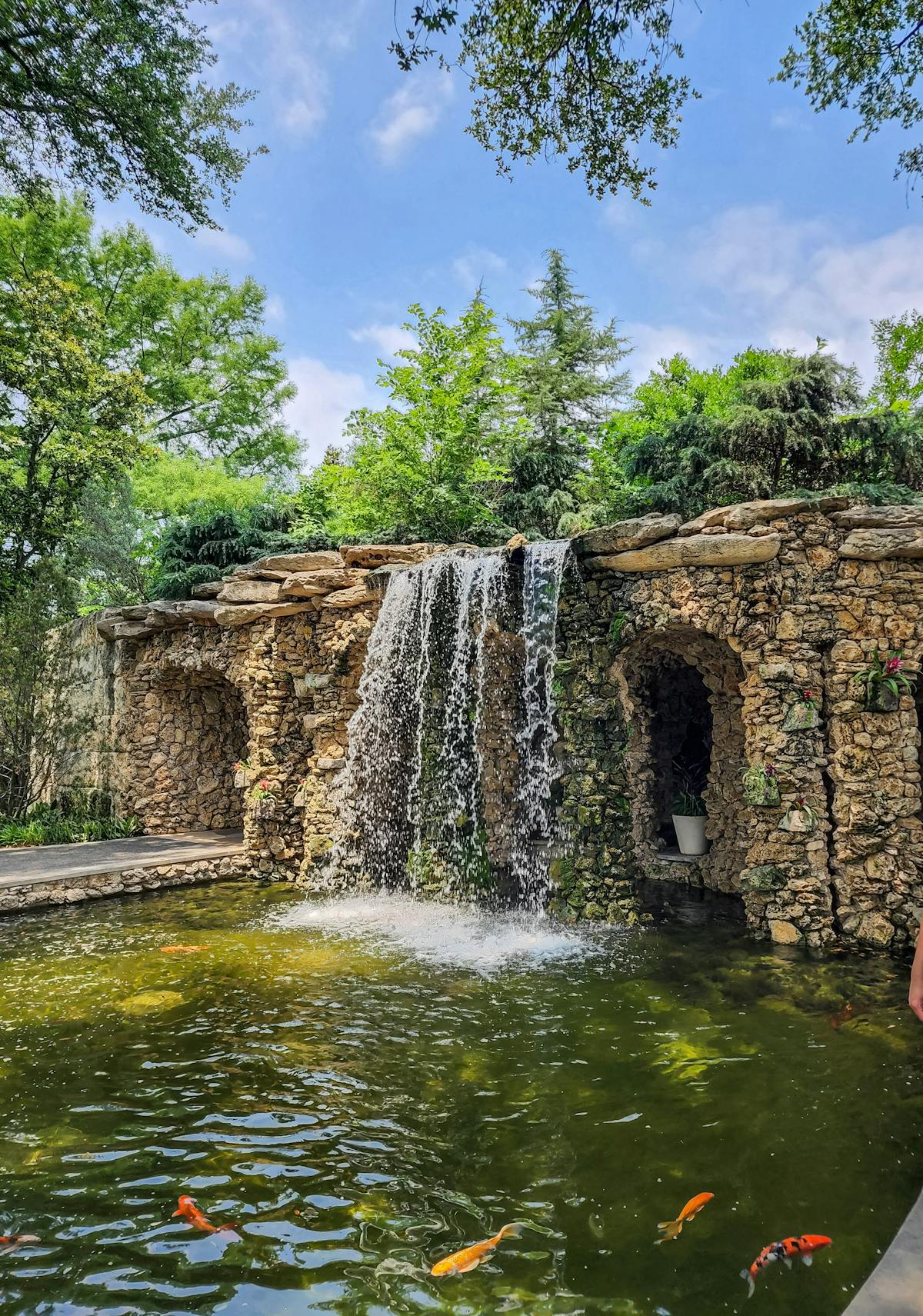 Stone Fish Photos, Download The BEST Free Stone Fish Stock Photos & HD ...