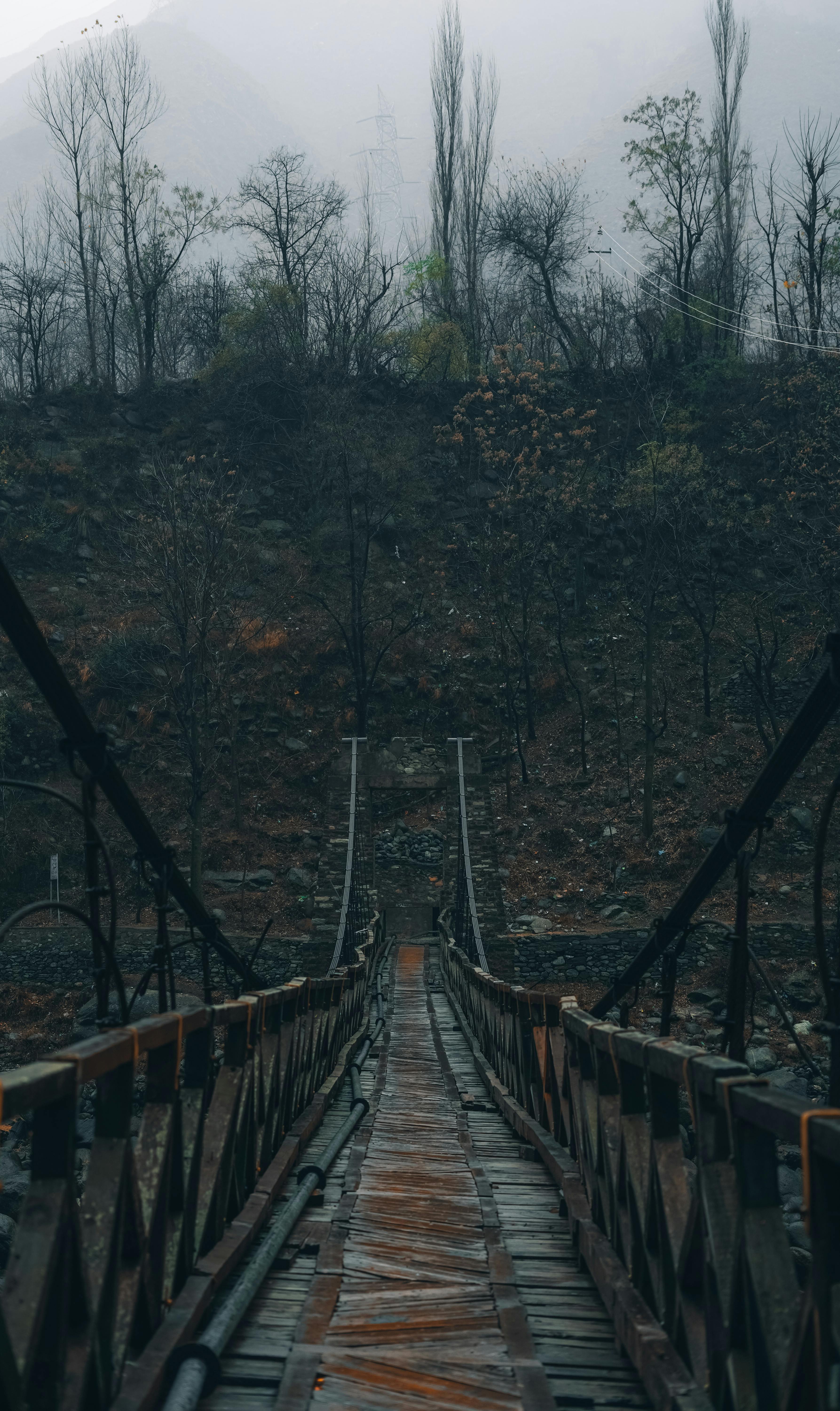 Gray Autumn Landscape with a Footbridge · Free Stock Photo