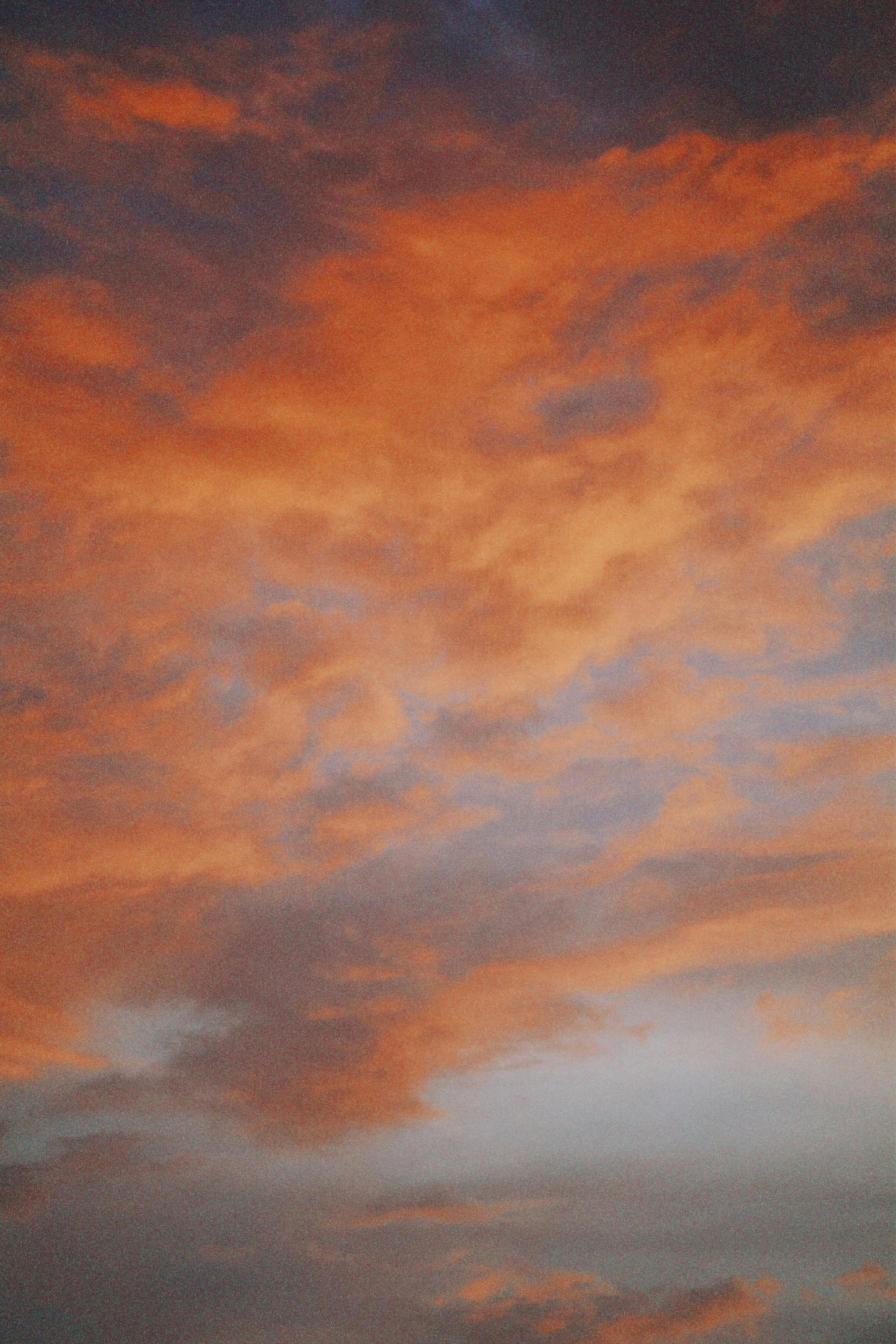 Free stock photo of atmospheric evening, cloud, cloud forest, cloud gate, clouds, color, dawn ...