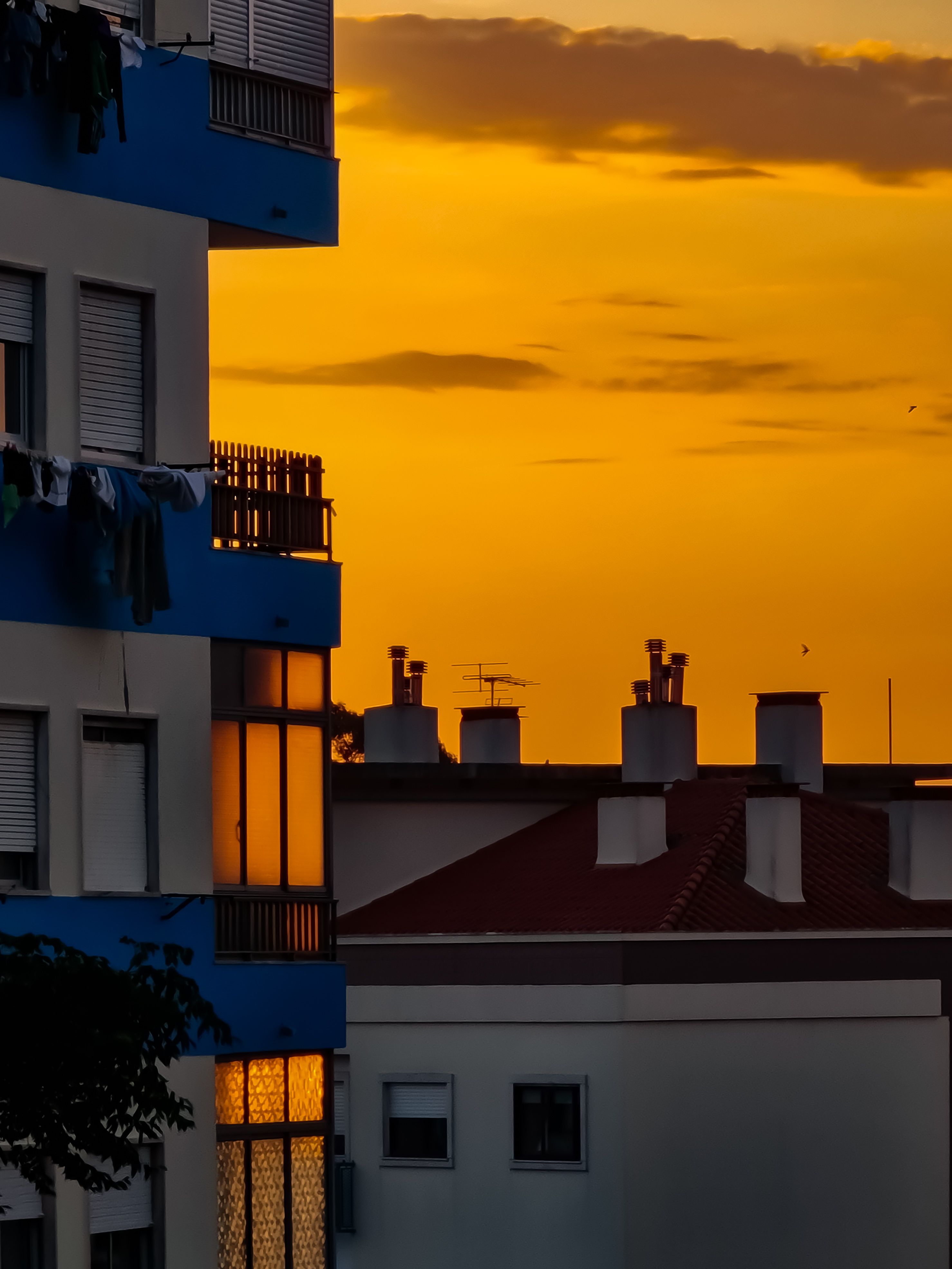 Orange Sunset above Residential Buildings · Free Stock Photo