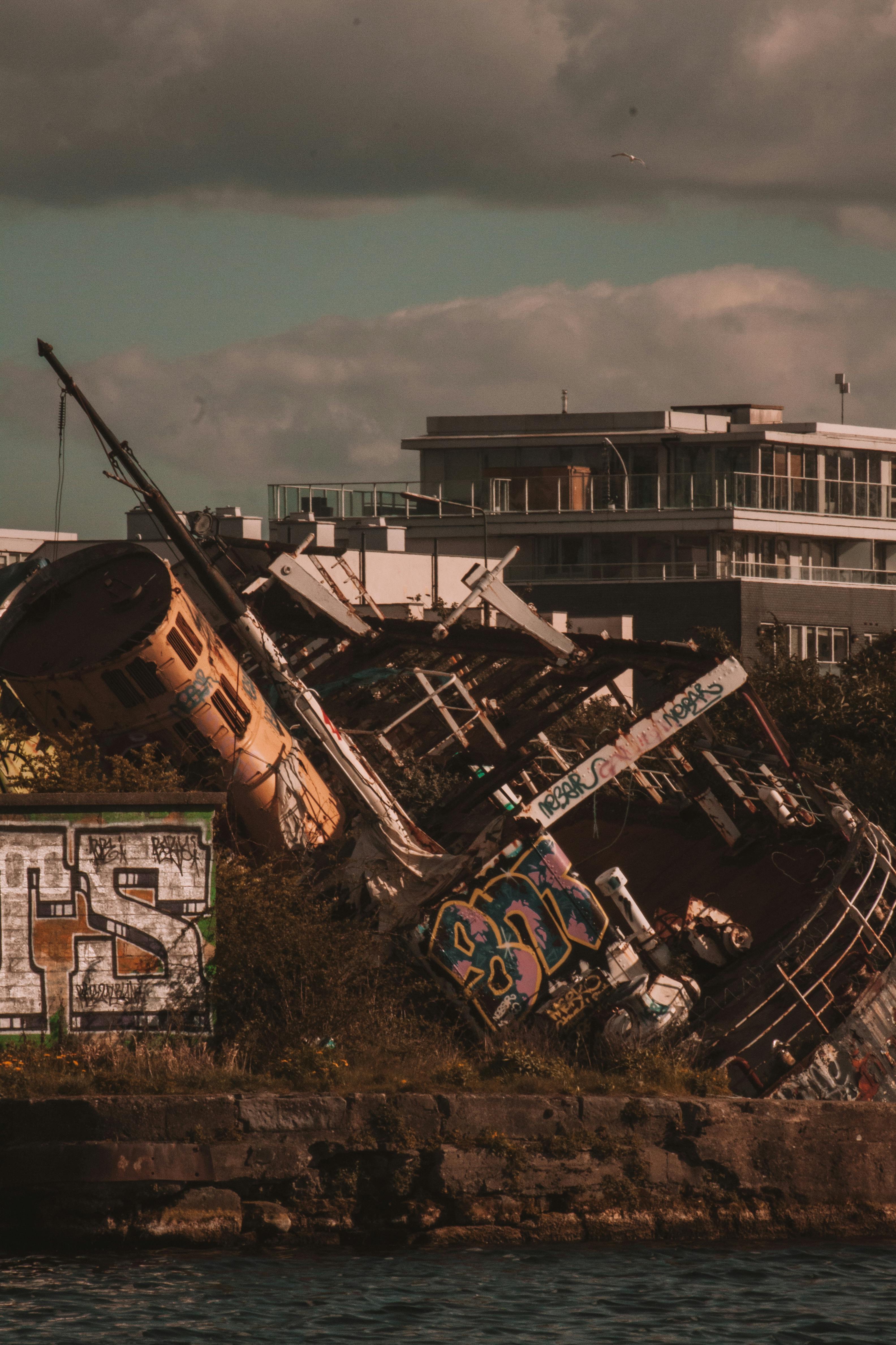 Broken Lily Photos, Download The BEST Free Broken Lily Stock Photos ...