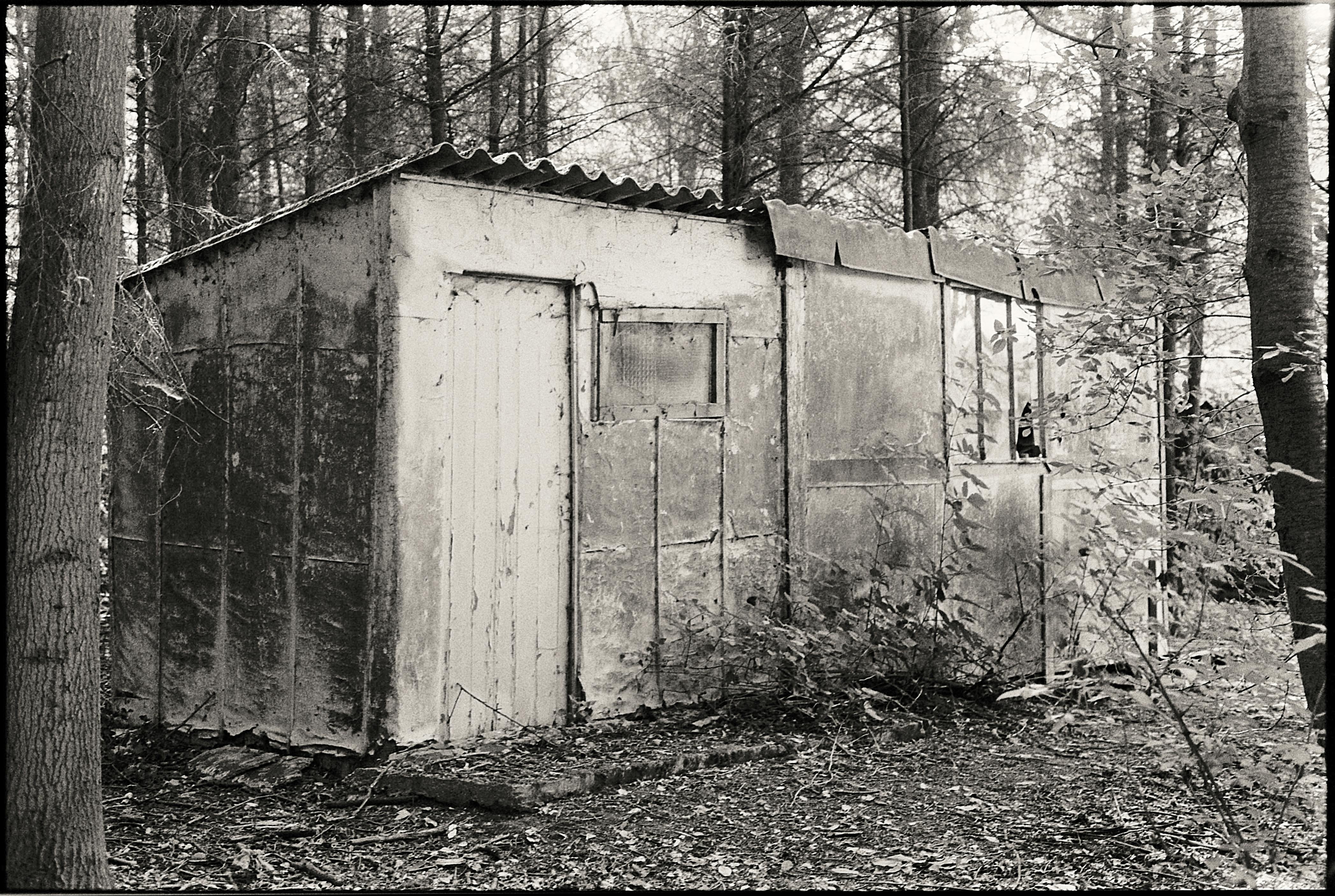 Wrecked House Near Trees · Free Stock Photo