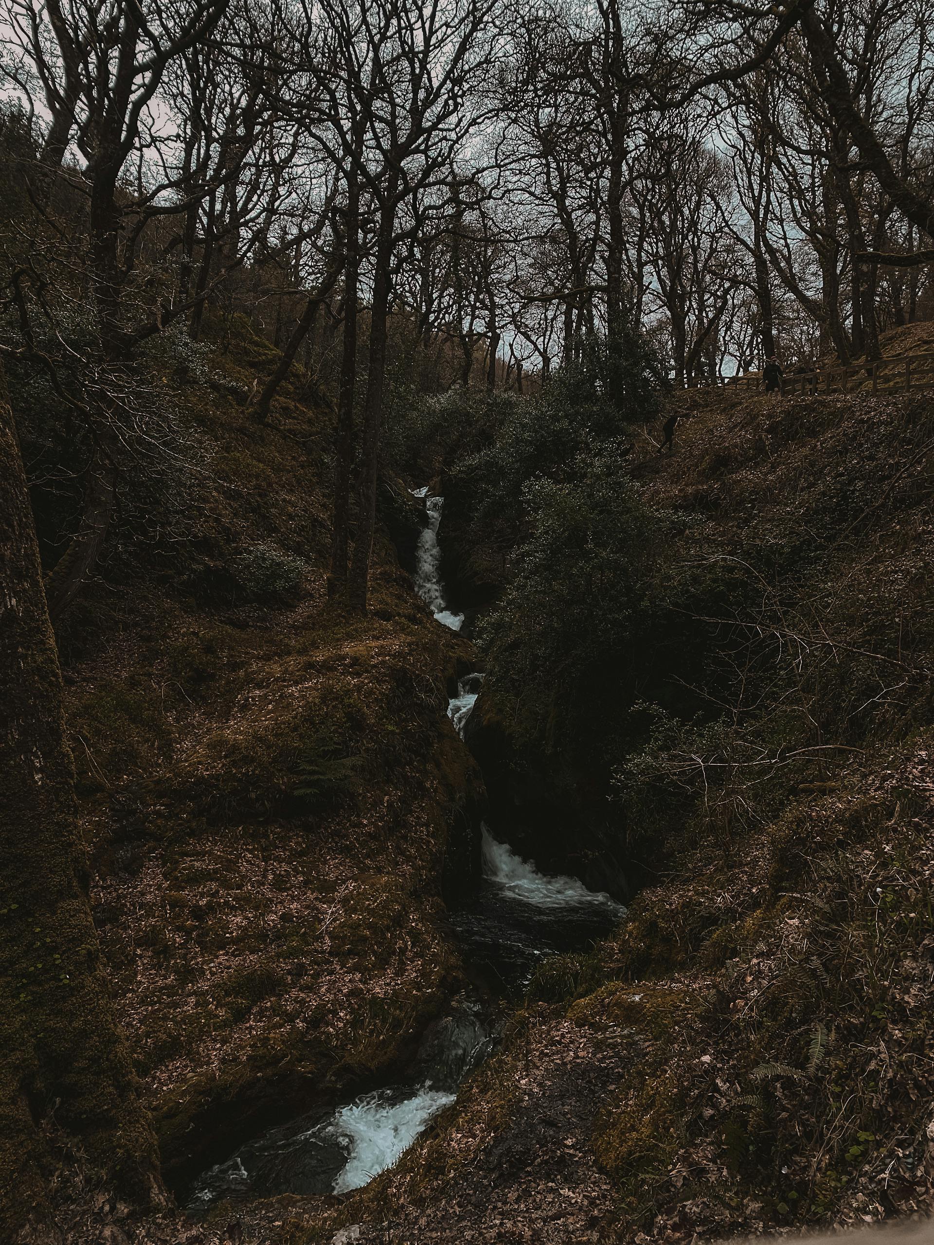 Live Waterfall Photos, Download The BEST Free Live Waterfall Stock ...