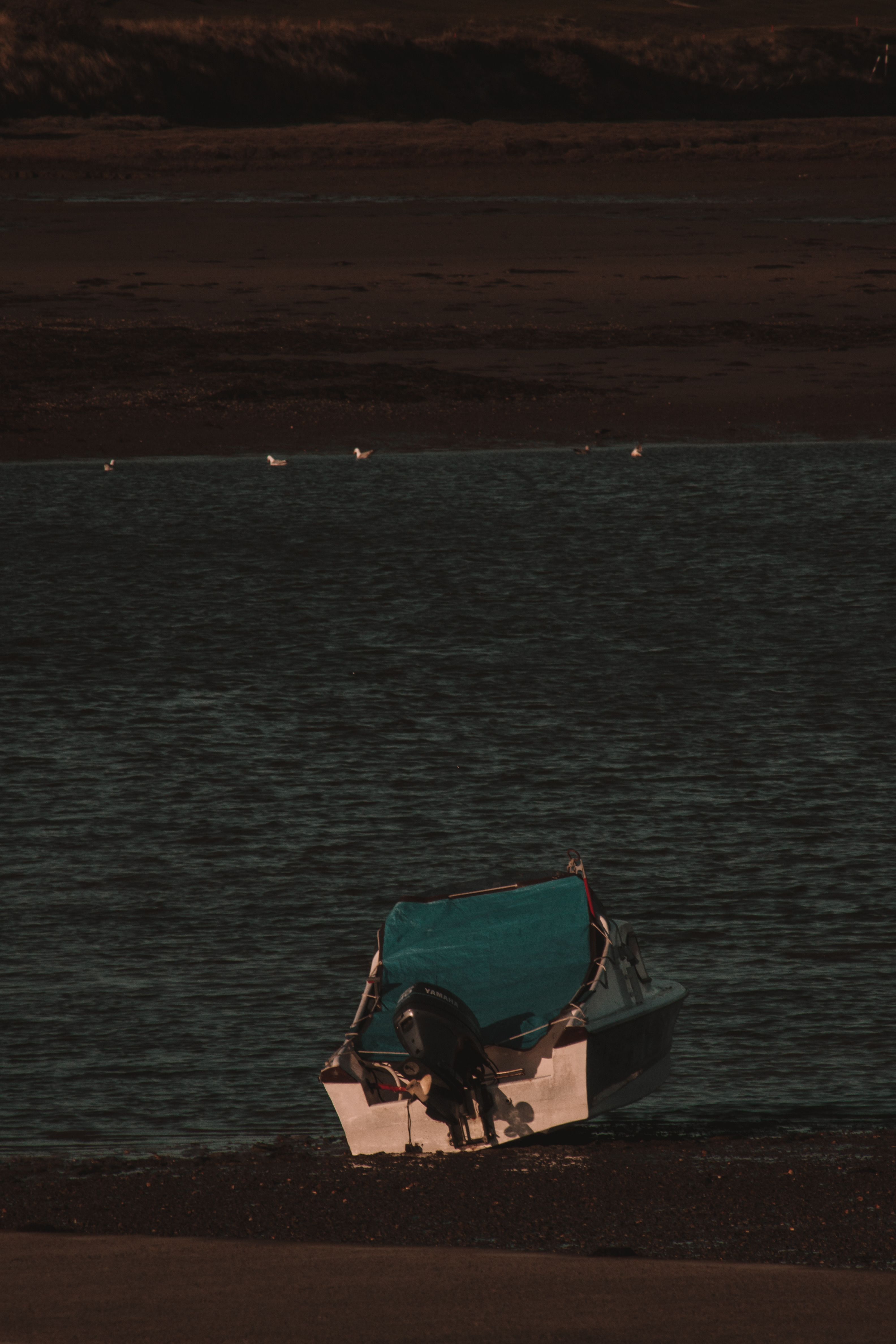 A Boat Swimming on a Sea in Dark · Free Stock Photo