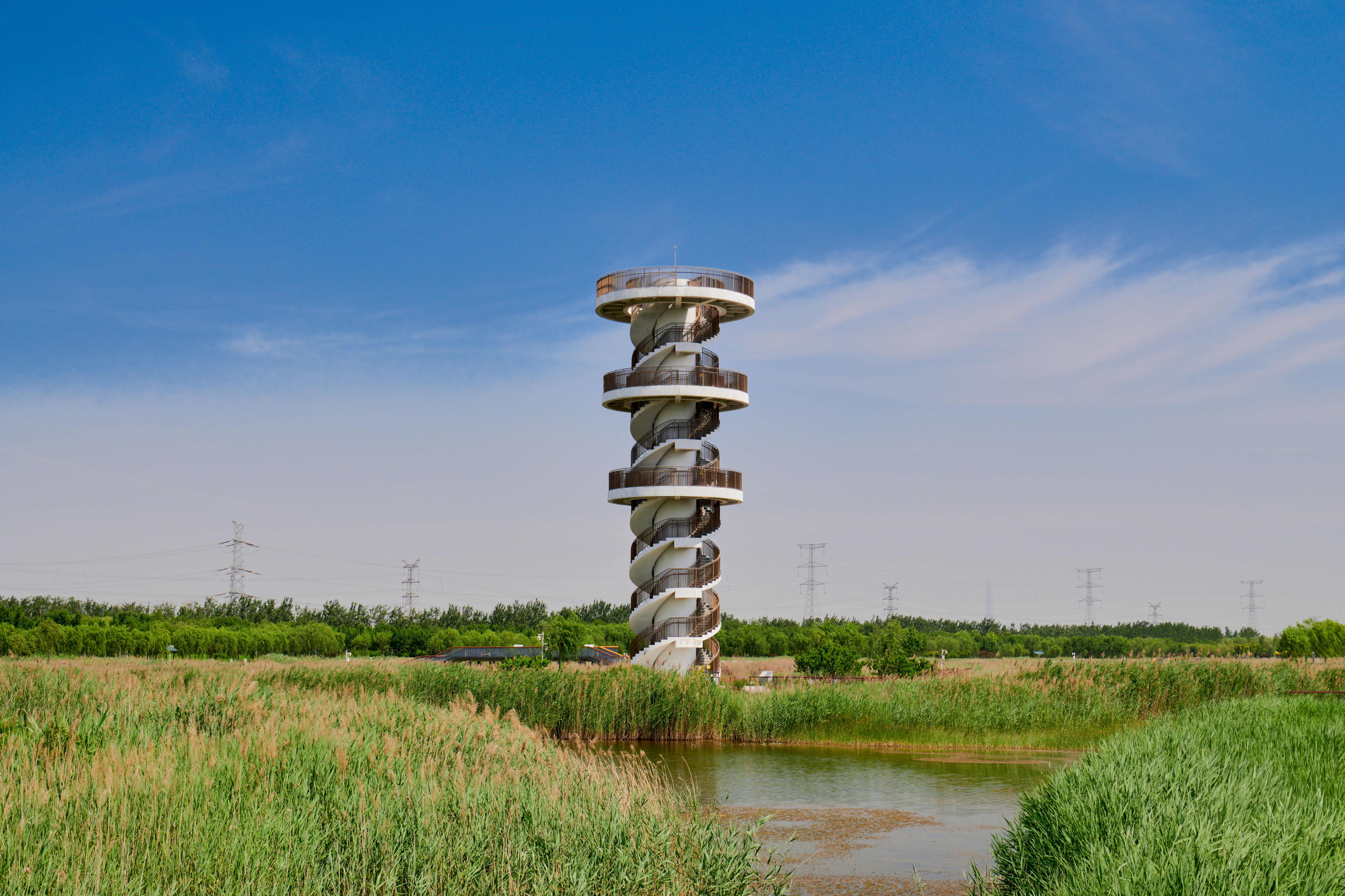 Tower over Pond · Free Stock Photo