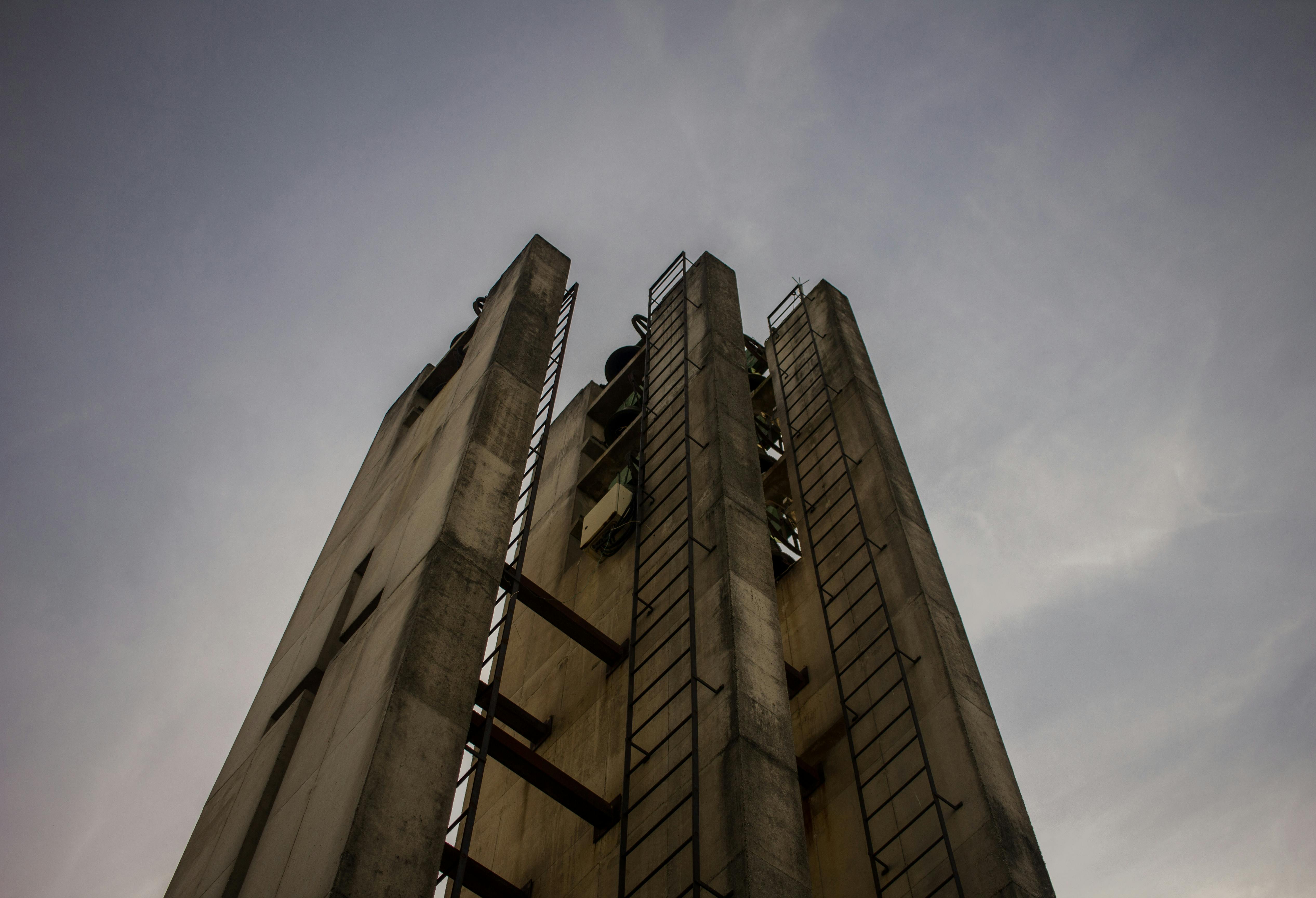 Tall Photos, Download The BEST Free Tall Stock Photos & HD Images