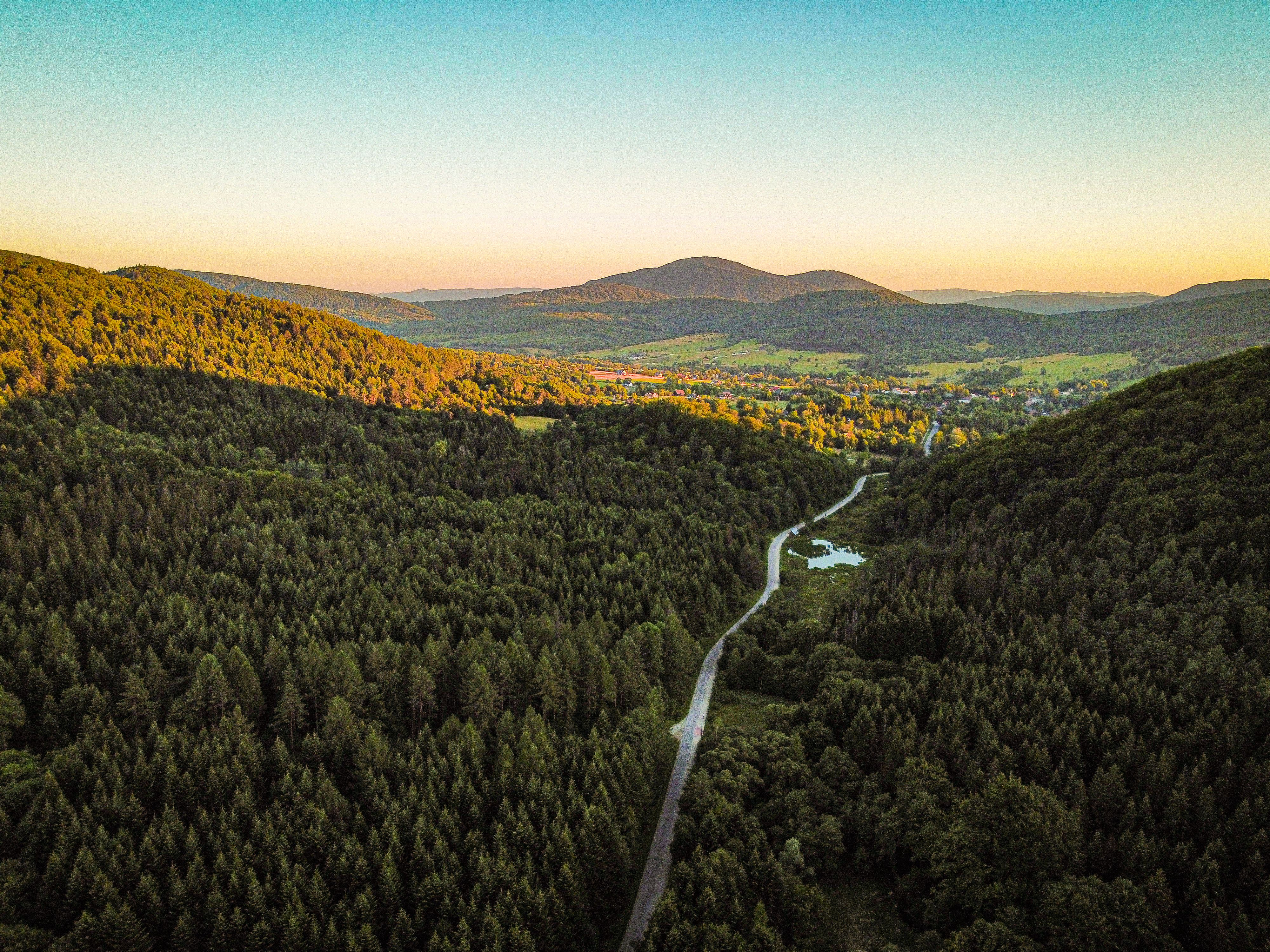 Scenic Mountain Valley Landscape with a Road Running through Forest ...
