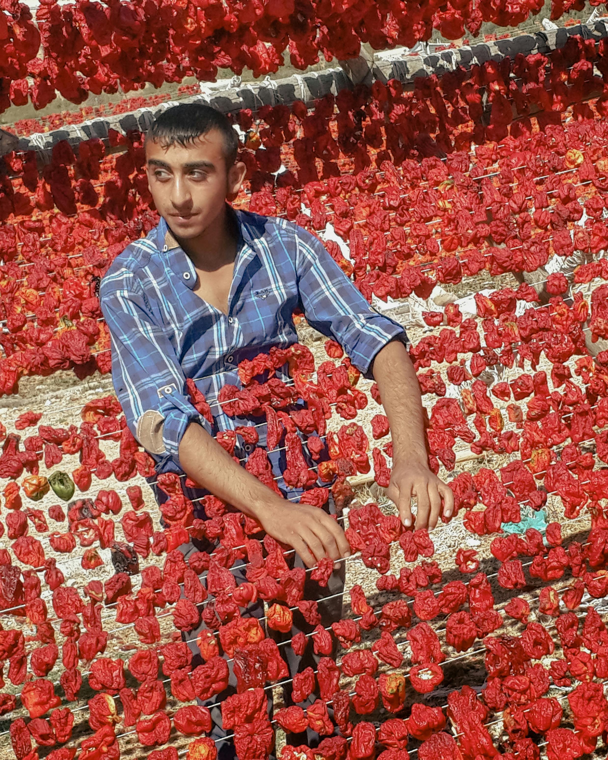 Item’ Photos, Download The BEST Free Item’ Stock Photos & HD Images