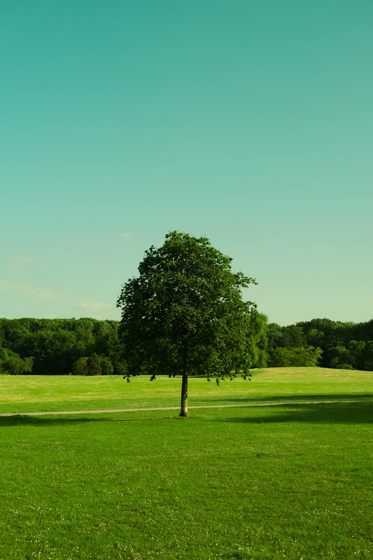 Single’’ Photos, Download The BEST Free Single’’ Stock Photos & HD Images