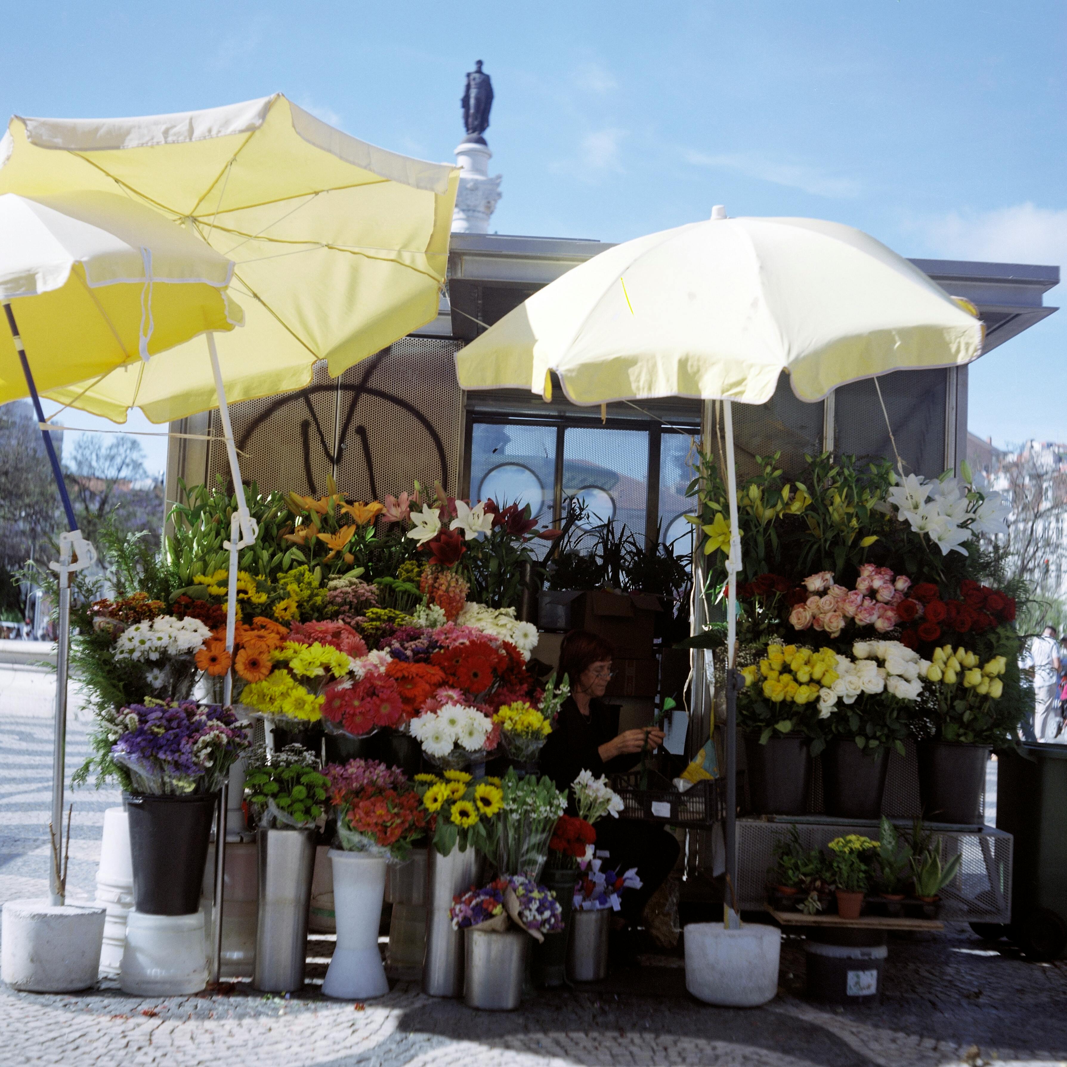 Florist Booth in Town · Free Stock Photo