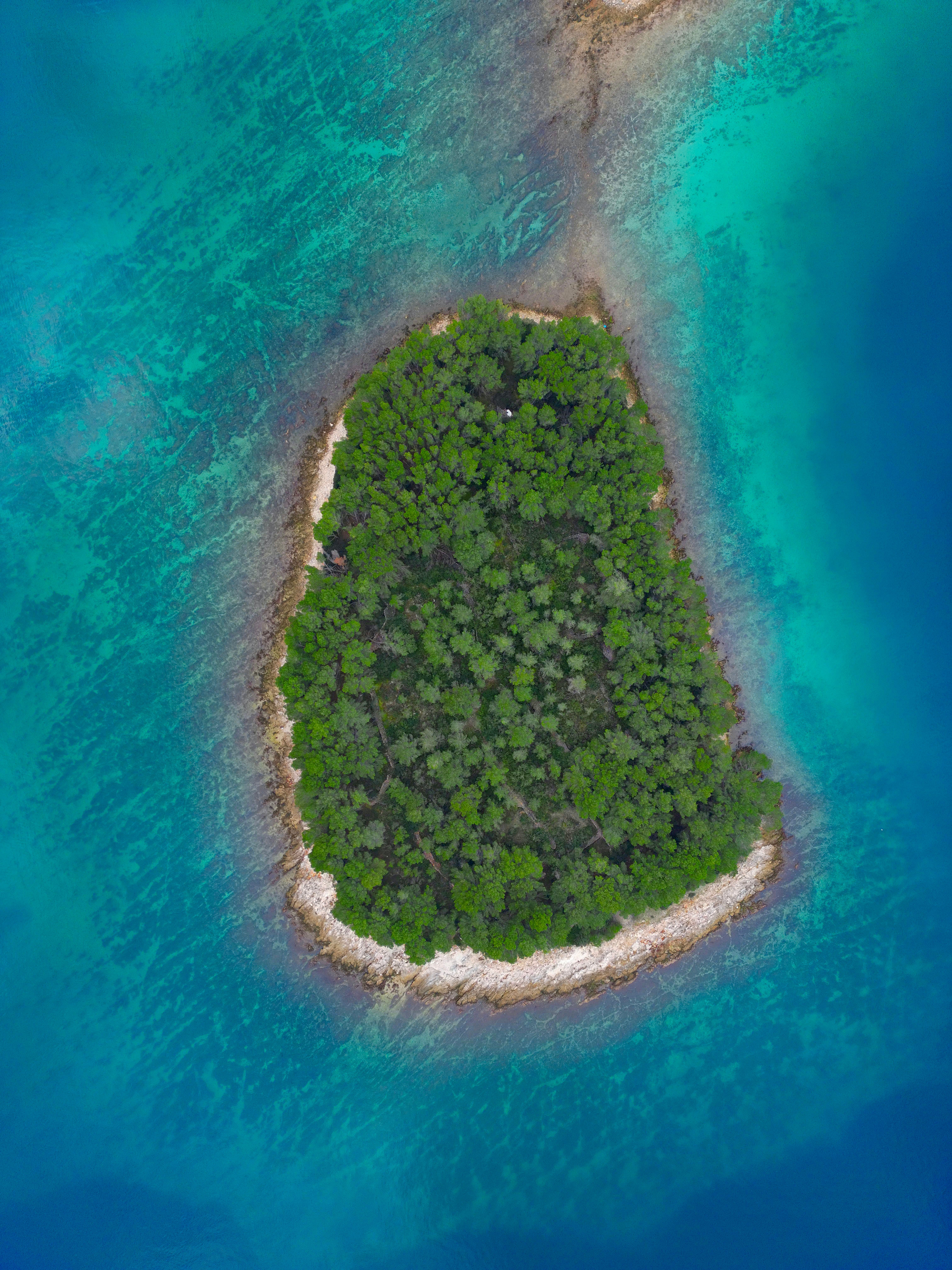 Forest on Island on Sea Shore · Free Stock Photo